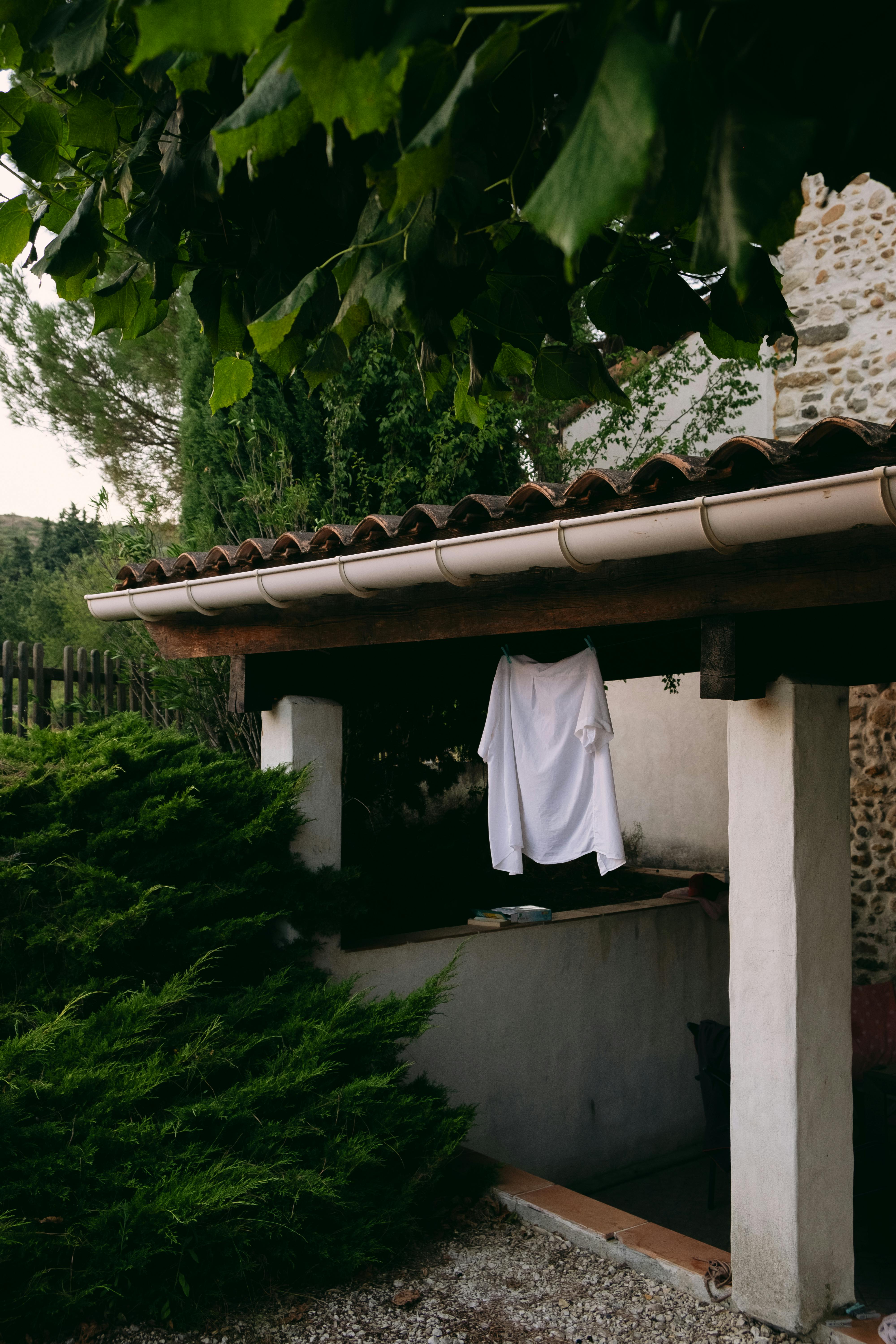 Clothes Drying near Trees · Free Stock Photo