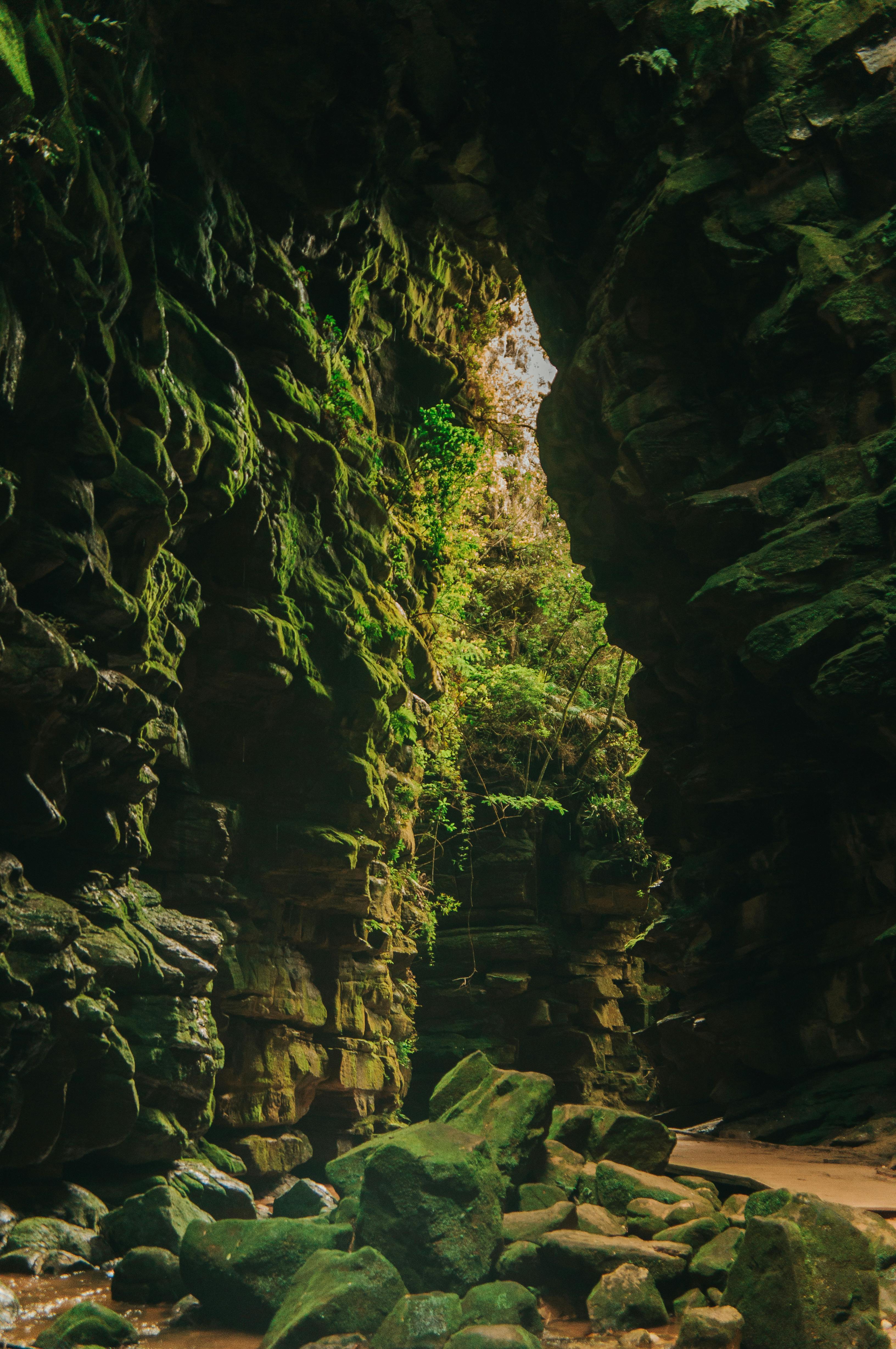 Rocky Walls with Moss · Free Stock Photo