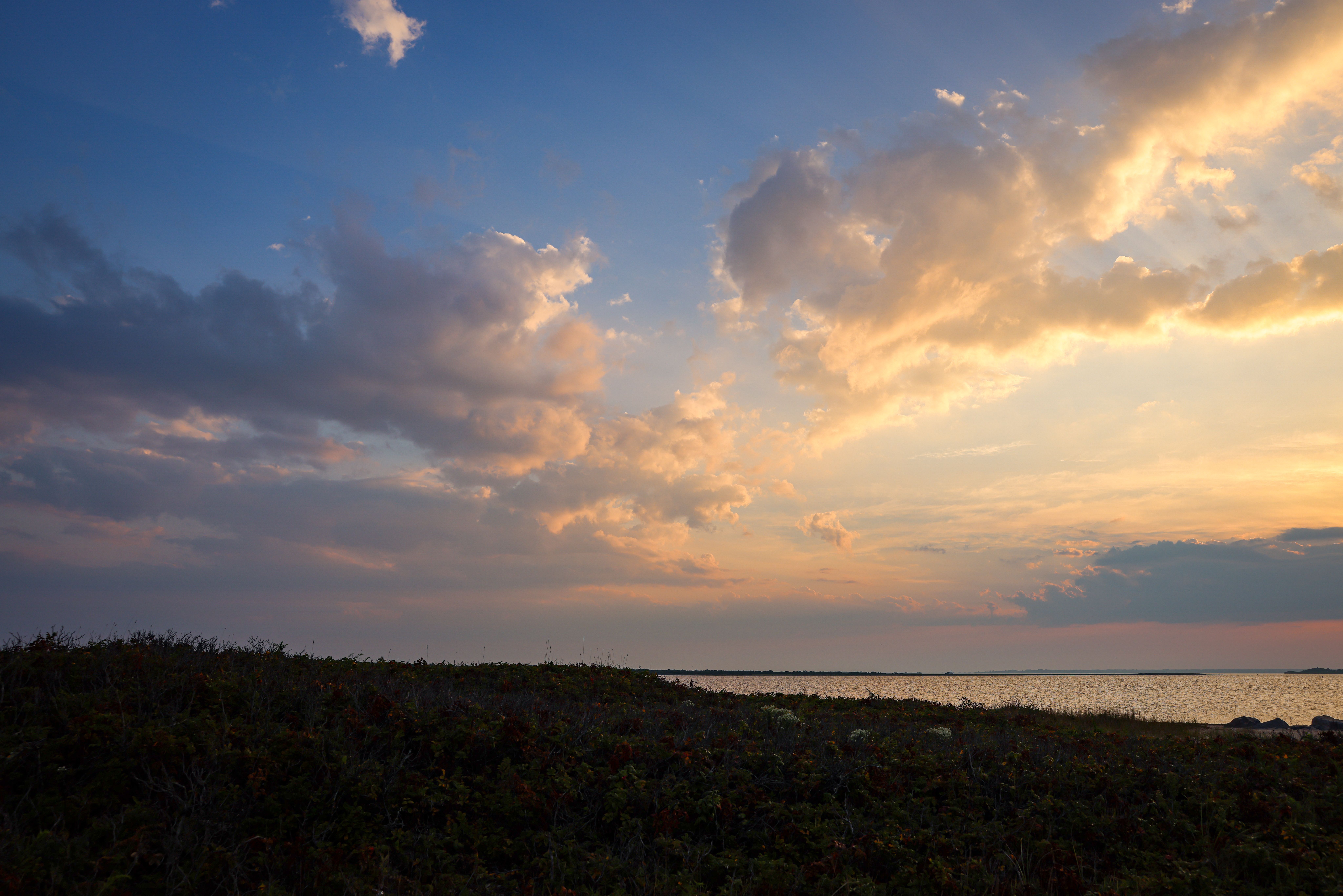 View of a Lakeshore at Sunset · Free Stock Photo