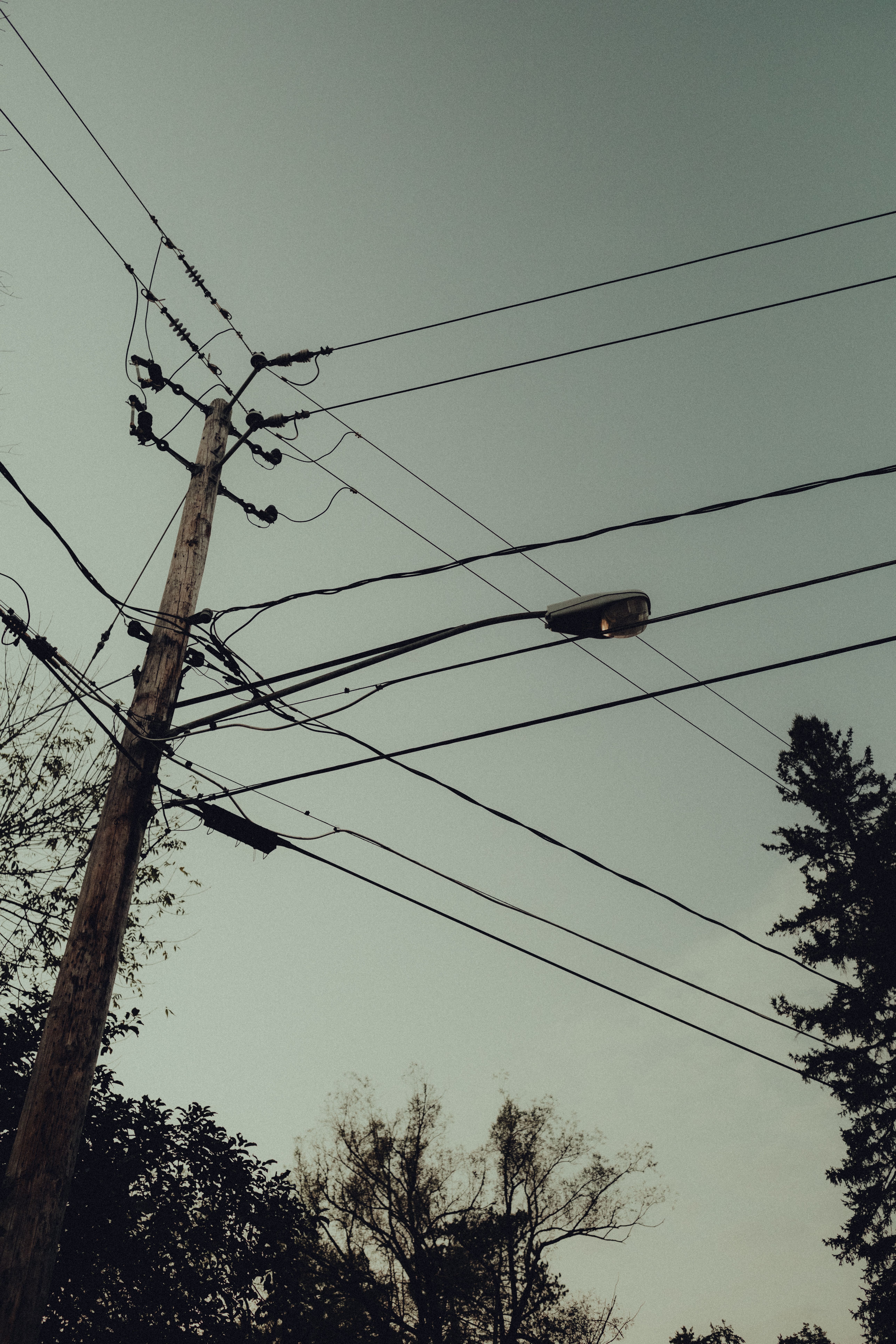 Utility Pole and Power Lines · Free Stock Photo