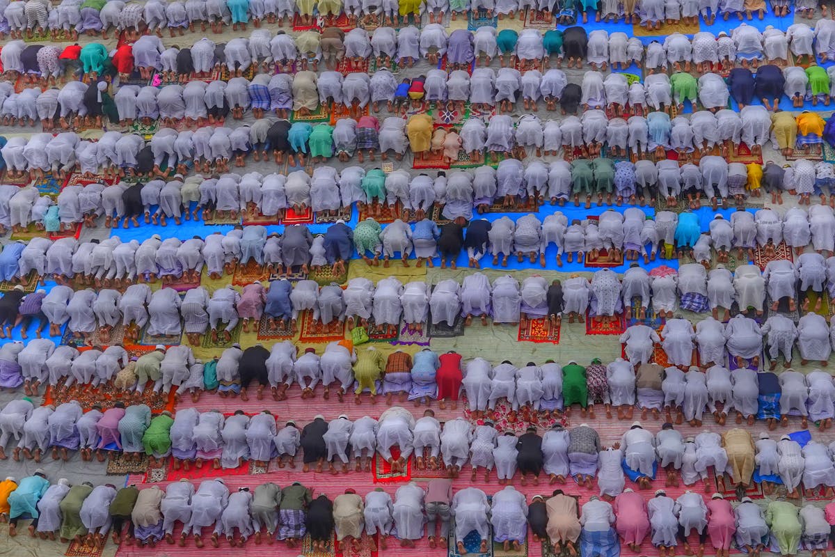 Animal Praying Photos, Download The BEST Free Animal Praying Stock ...