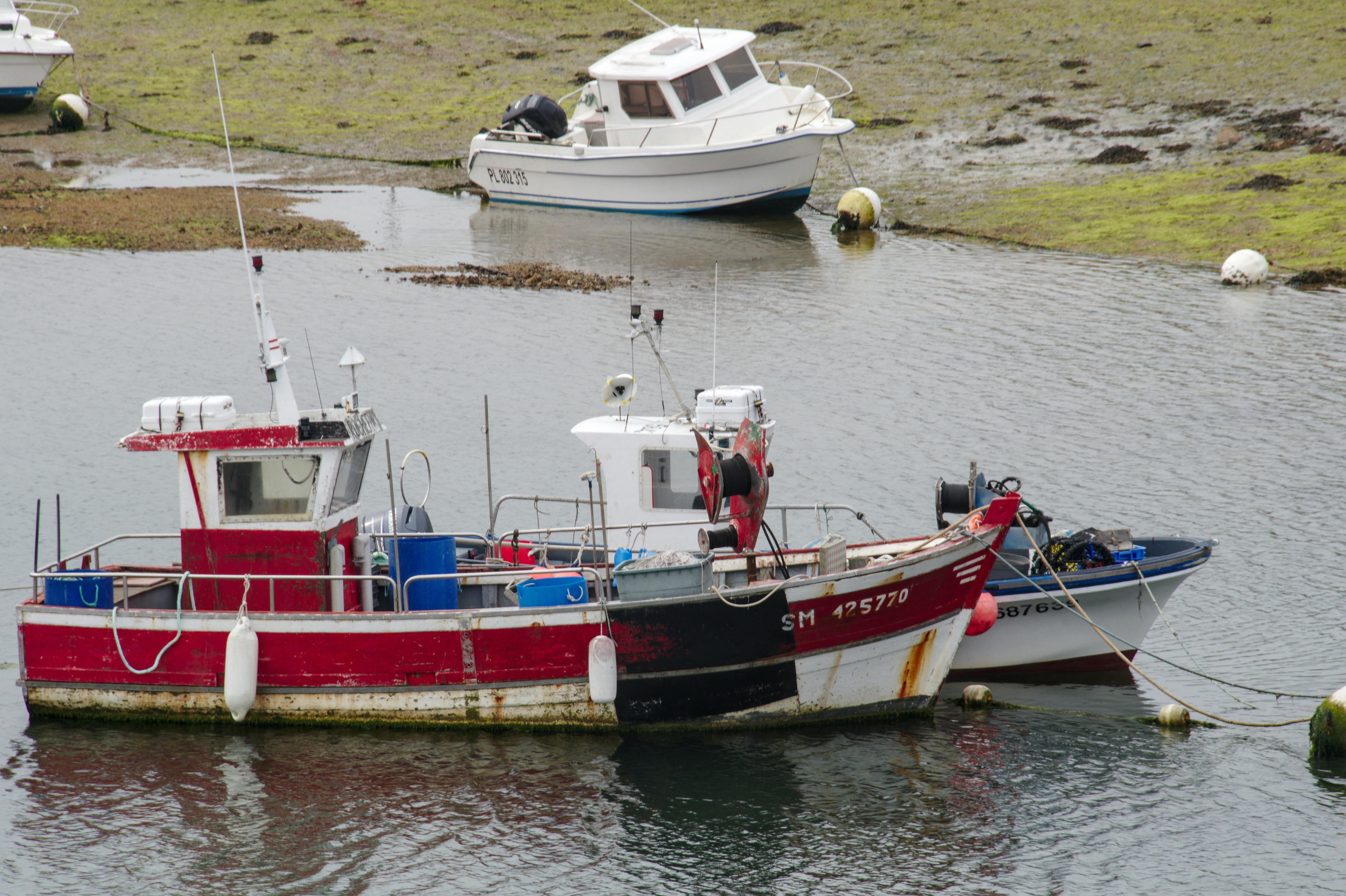 Liberia Bank Photos, Download The BEST Free Liberia Bank Stock Photos ...