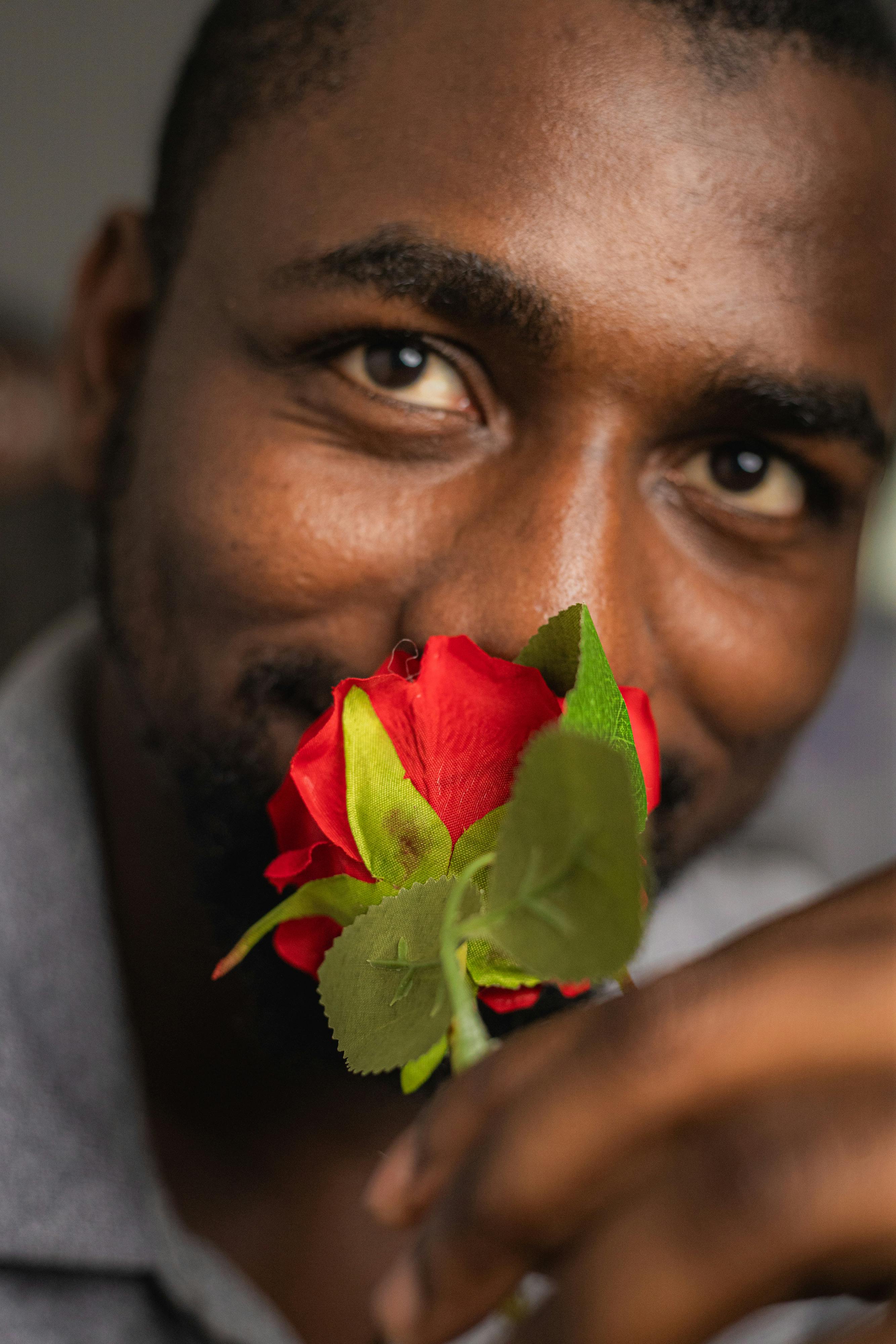 Male Rose Photos, Download The BEST Free Male Rose Stock Photos & HD Images