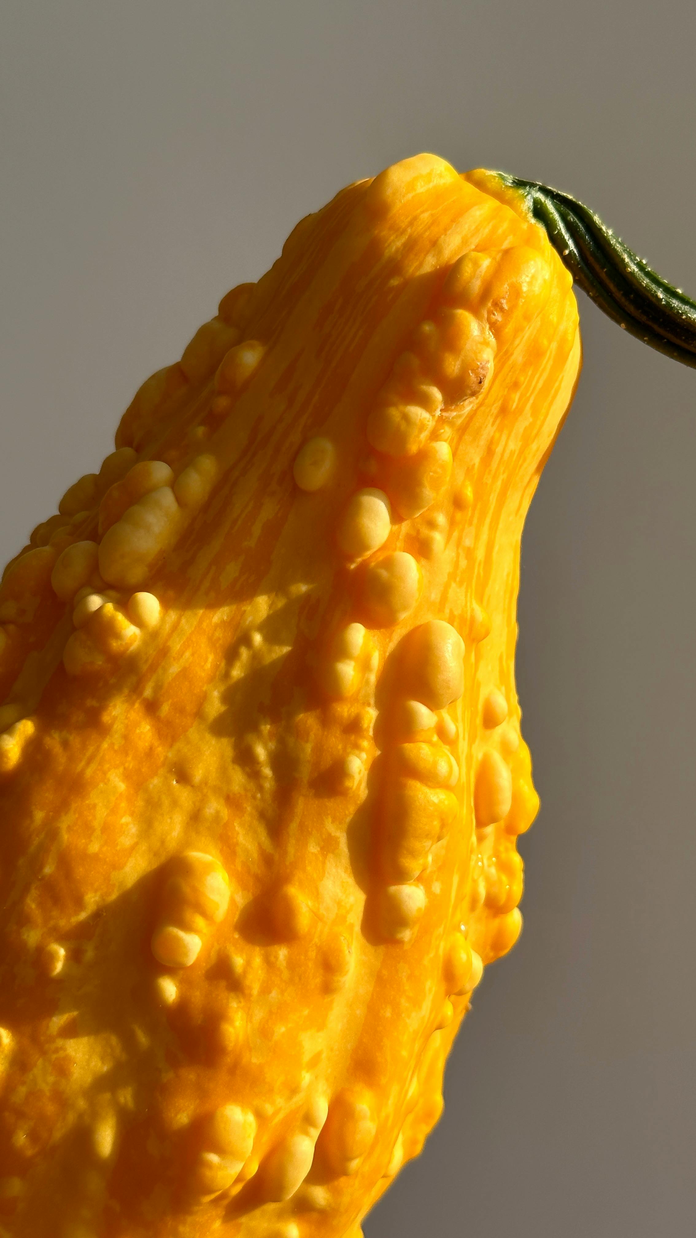 Wrinkled Yellow Pumpkin · Free Stock Photo