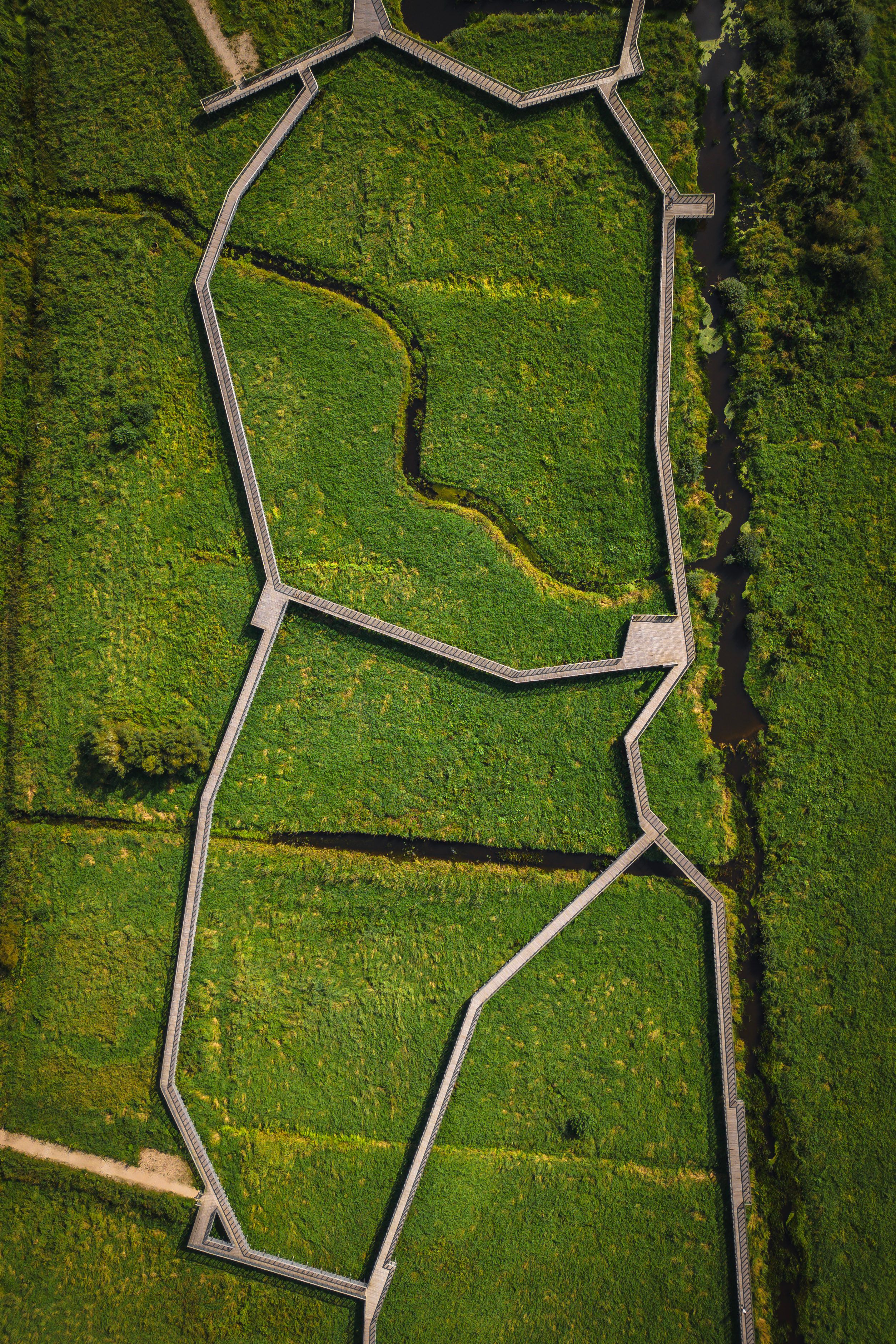 Aerial View of a Walkway on the Marsh · Free Stock Photo