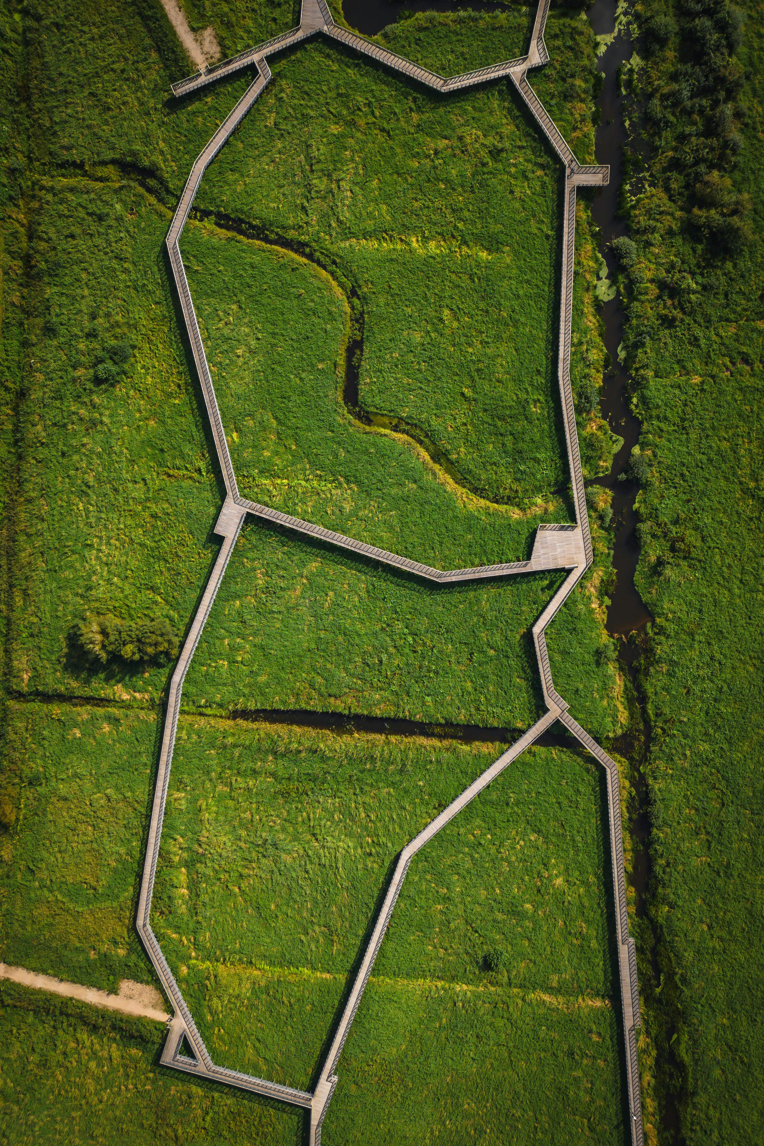 Aerial View of a Walkway on the Marsh · Free Stock Photo