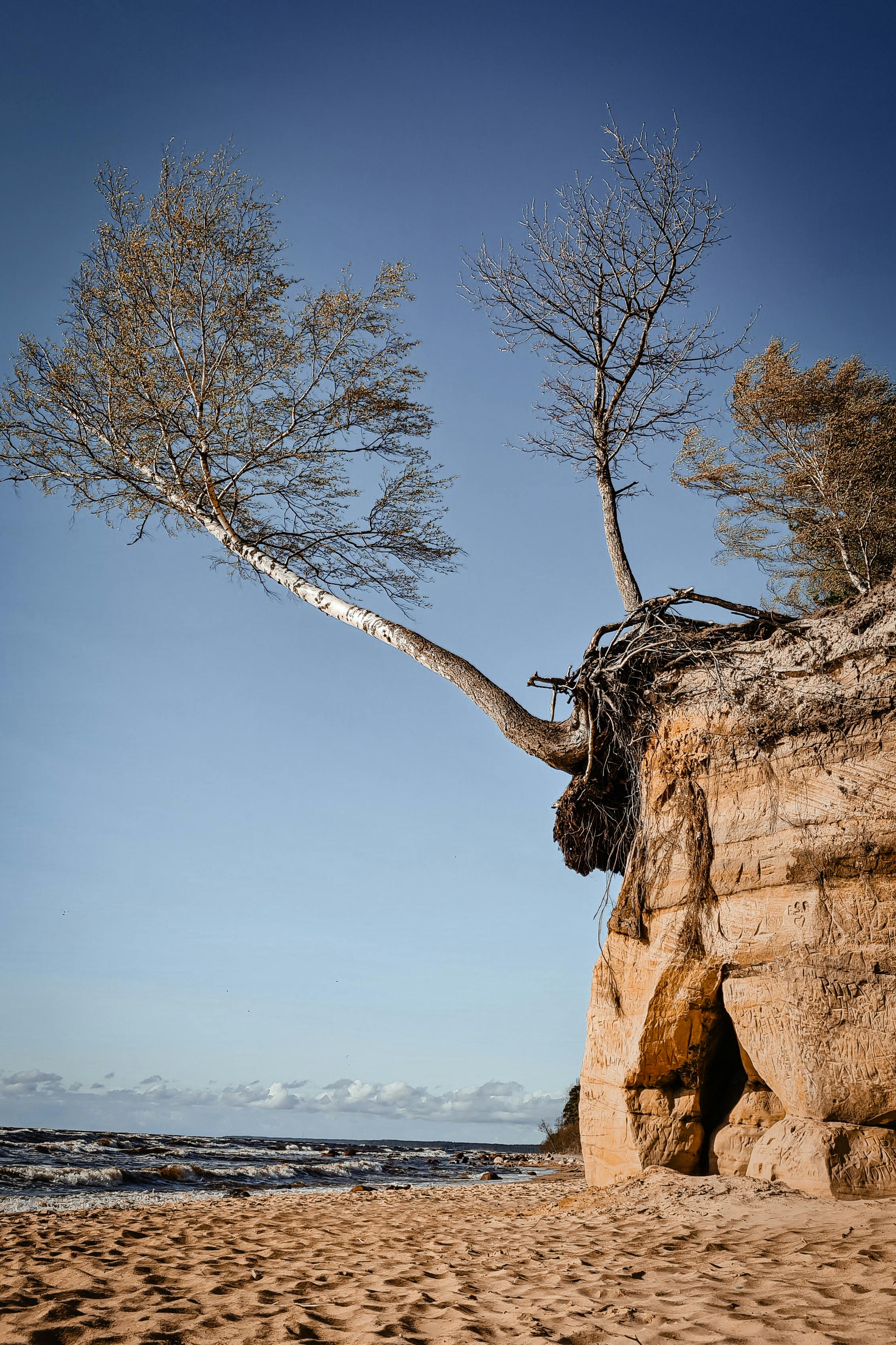People Sunbathing on the Beach · Free Stock Photo
