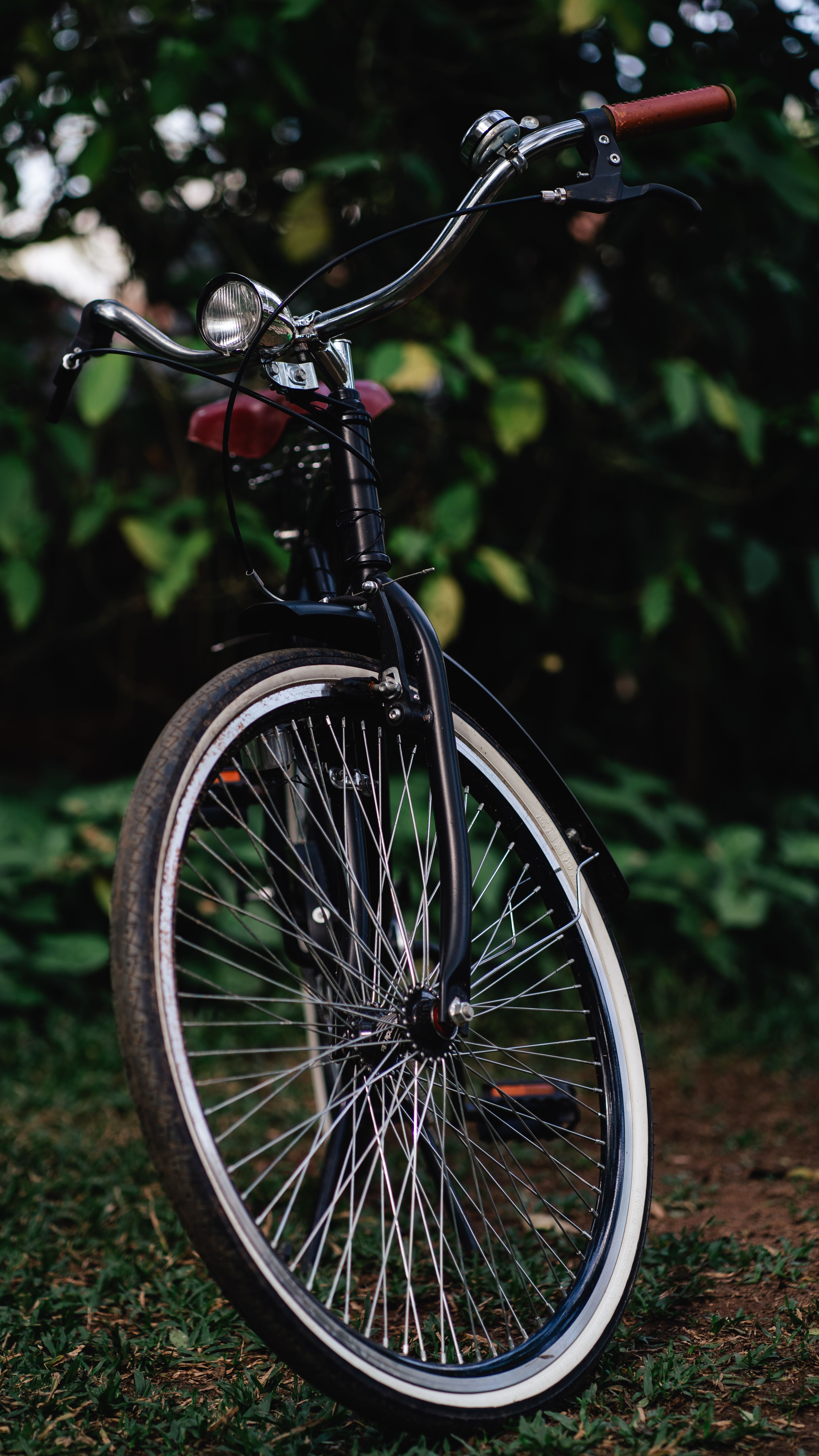 Bike on a Pavement in a Park · Free Stock Photo