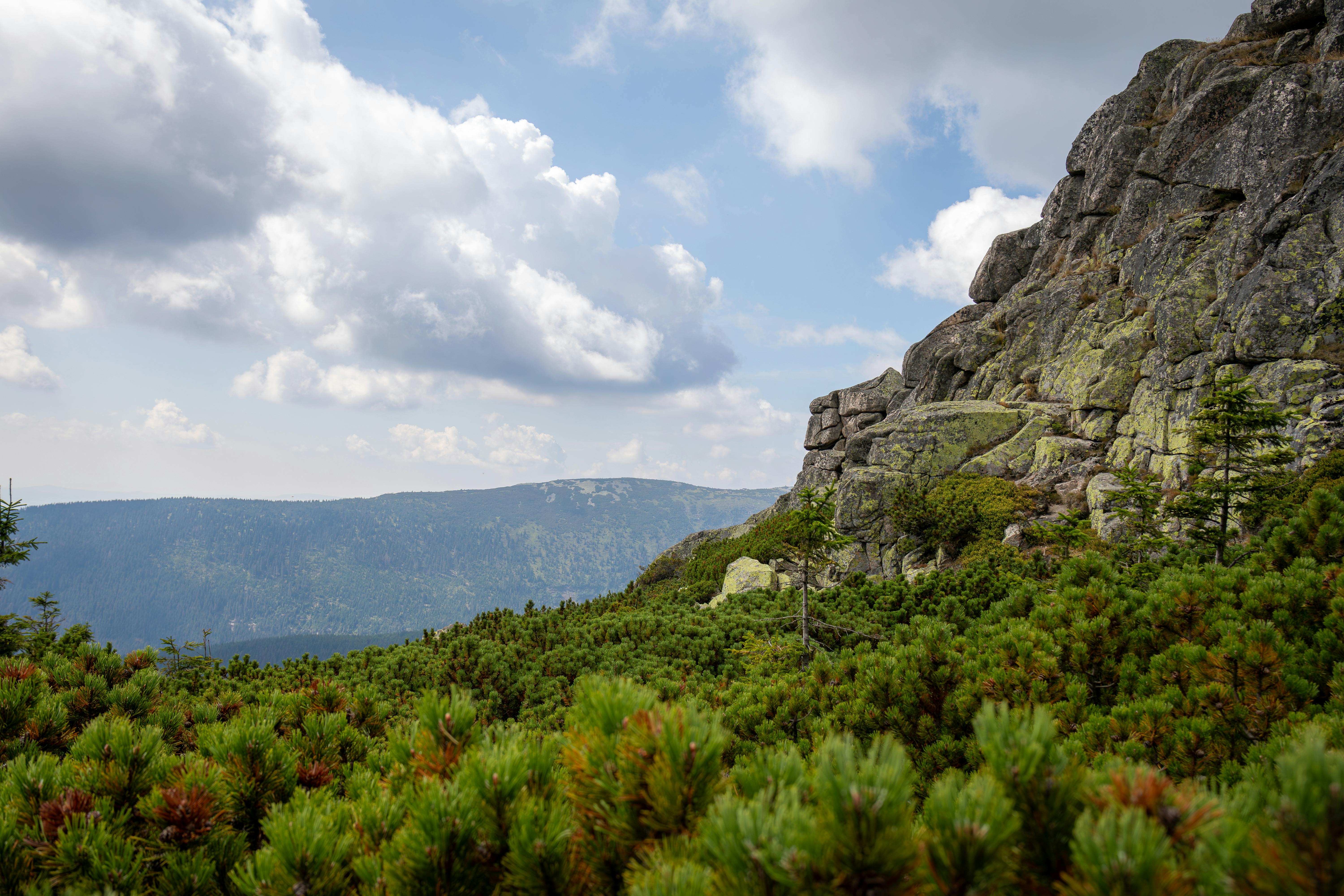 Forest and Rock Formation · Free Stock Photo