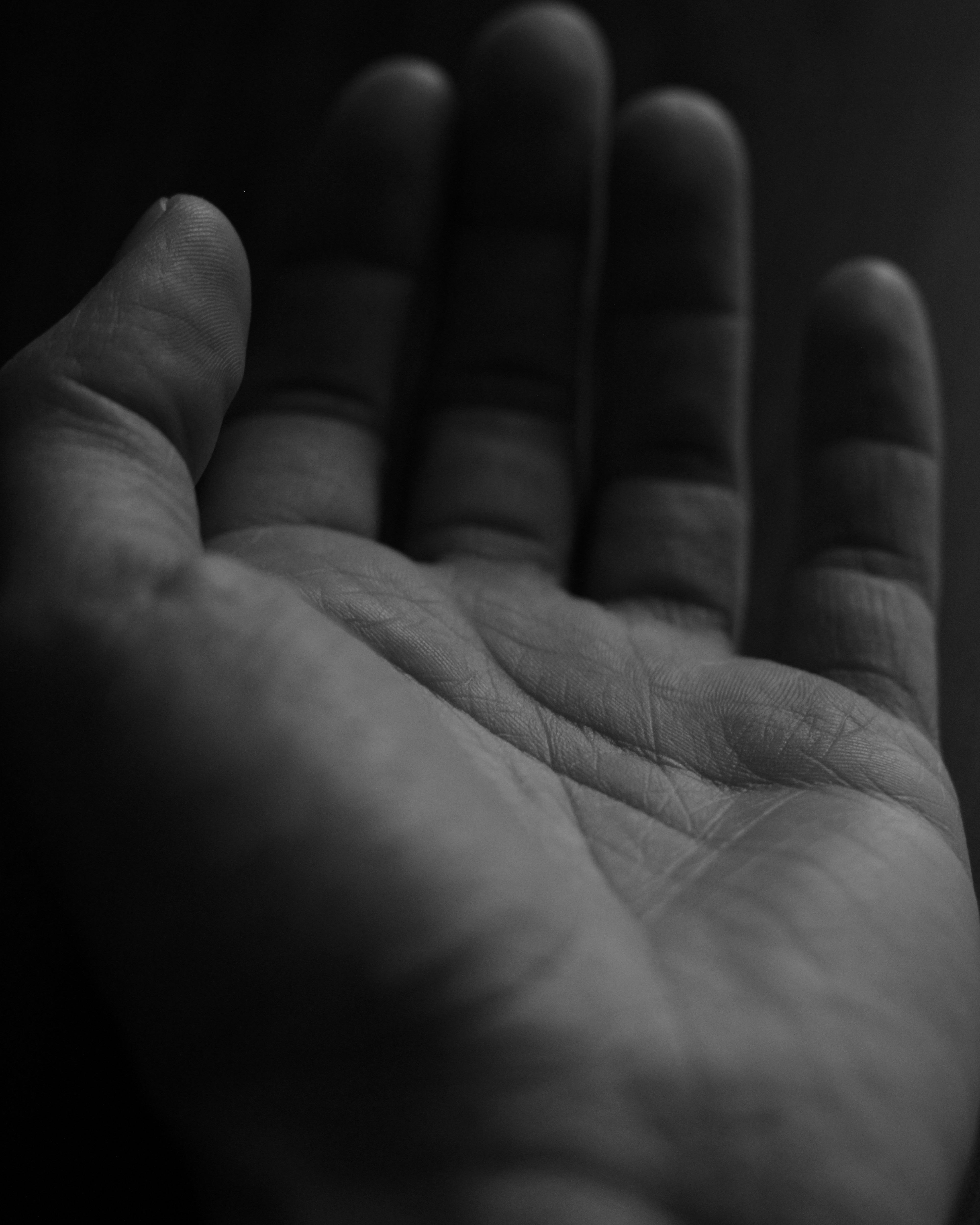 Cupped Palm Photos, Download The BEST Free Cupped Palm Stock Photos ...