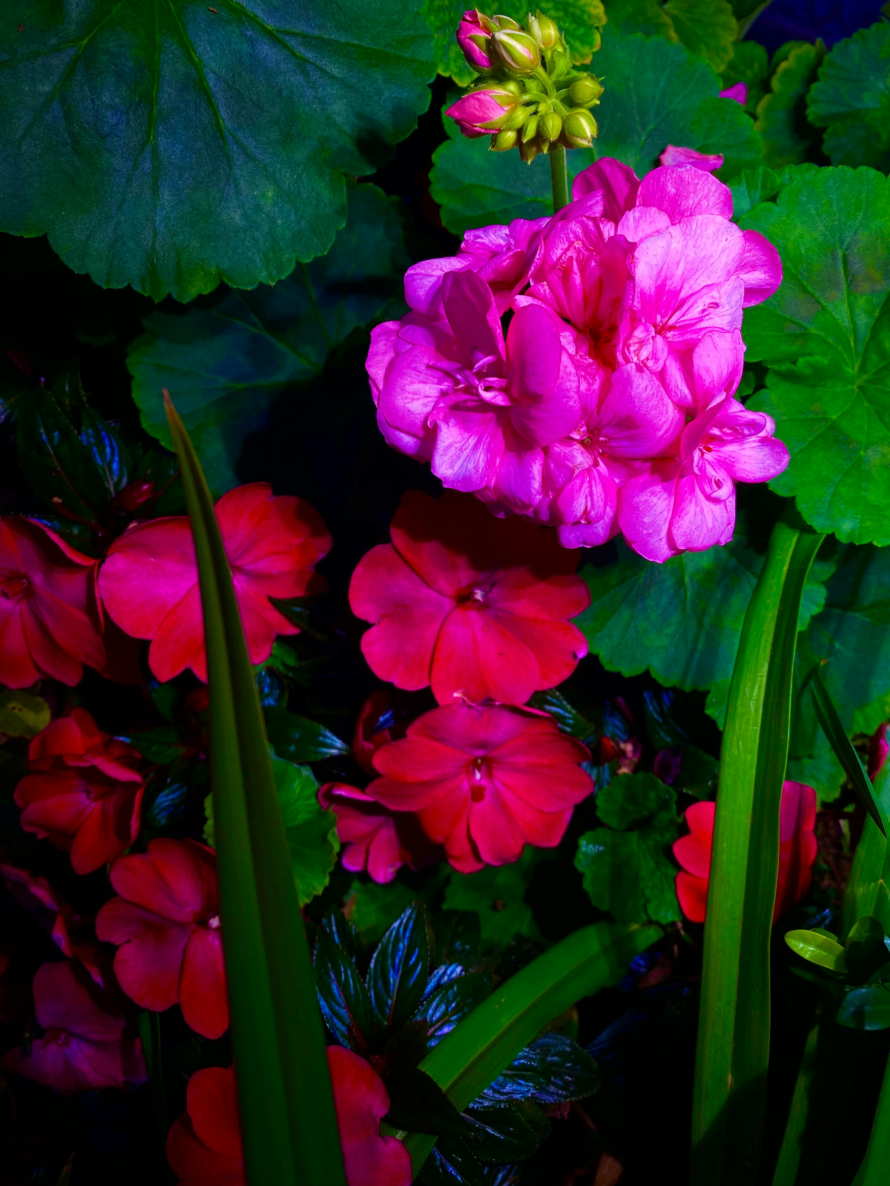 Gerald Ho – Fotografia