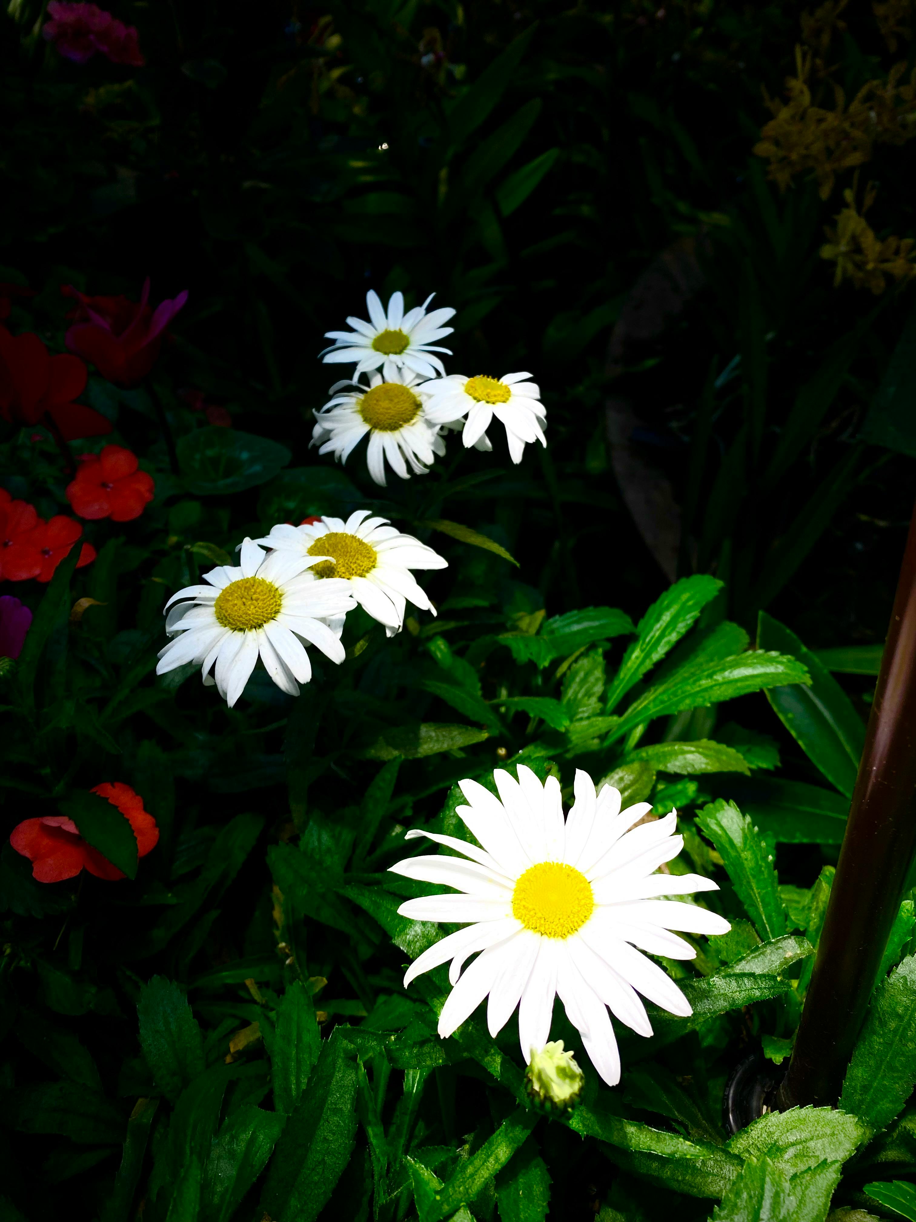 Gerald Ho – Fotografia