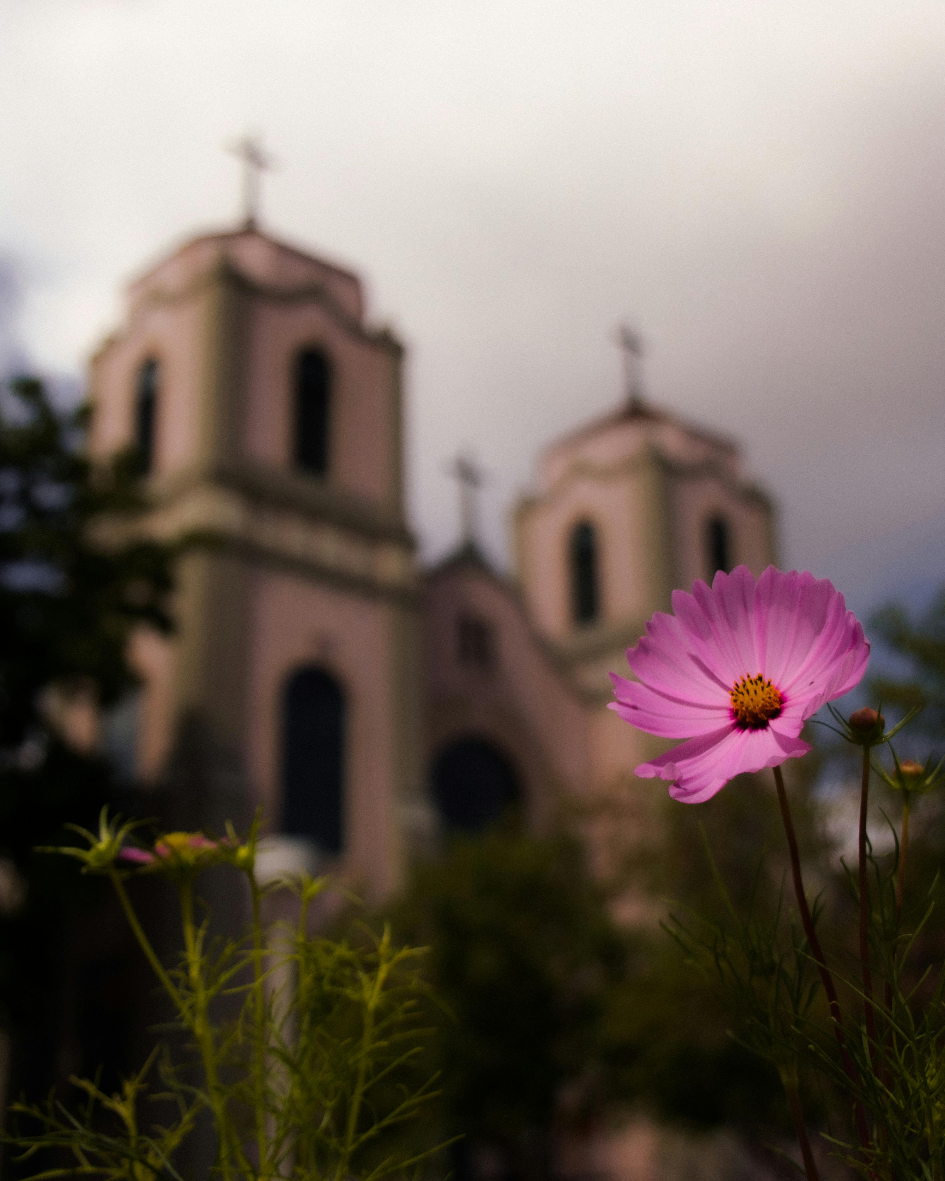 Build The Church Photos, Download The BEST Free Build The Church Stock ...