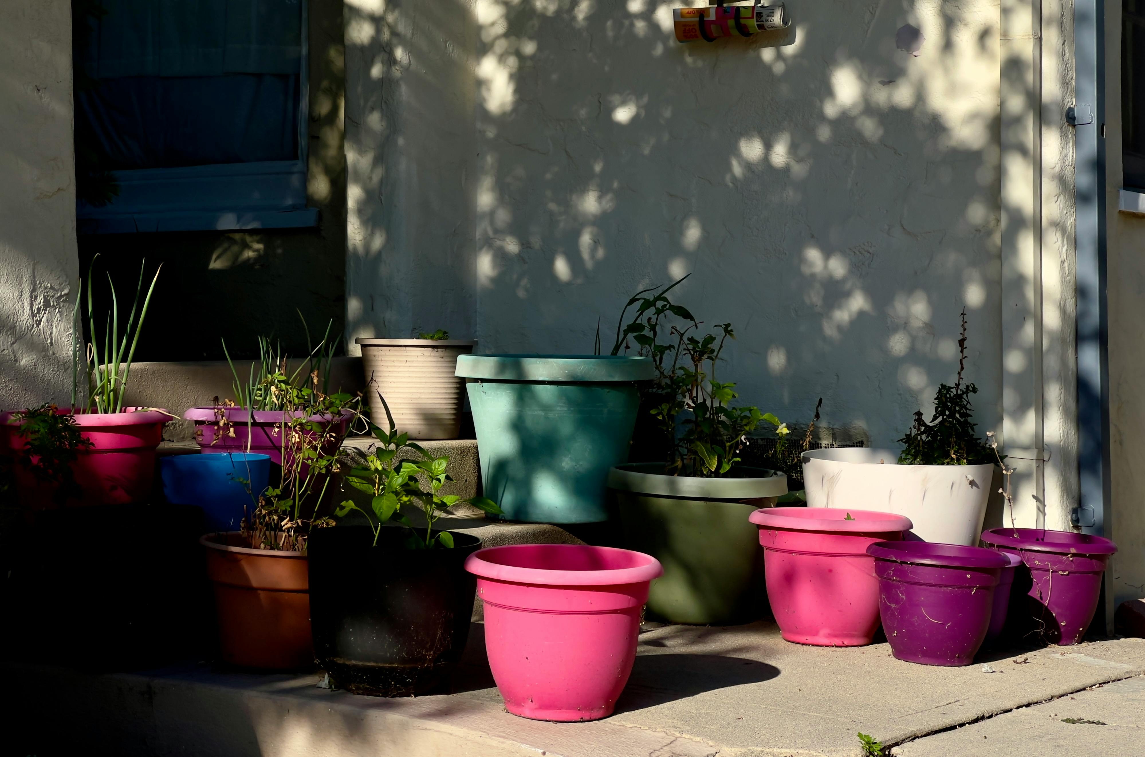 Sergey Korolev - Fotografía