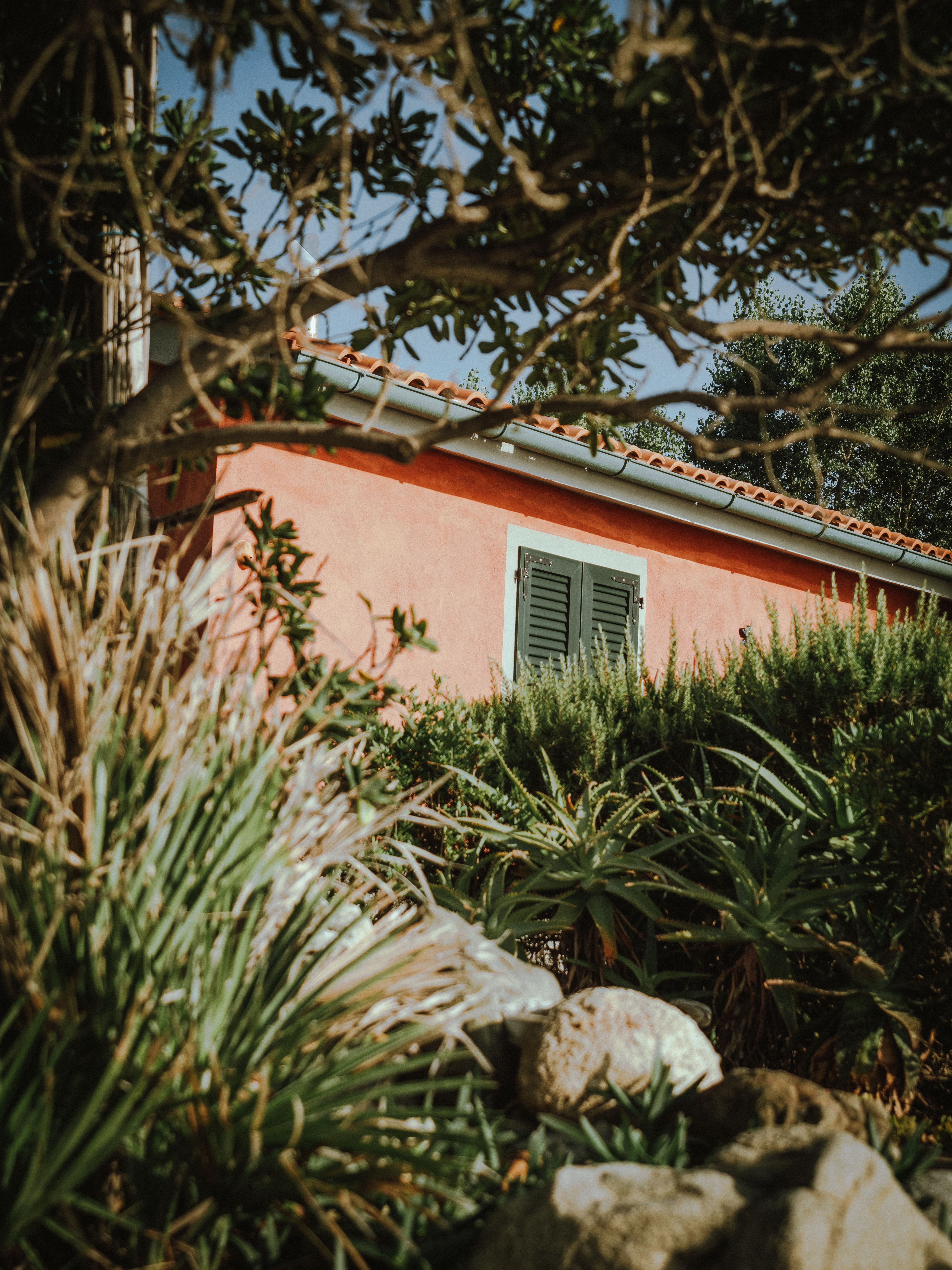 A small orange house with green plants and bushes · Free Stock Photo