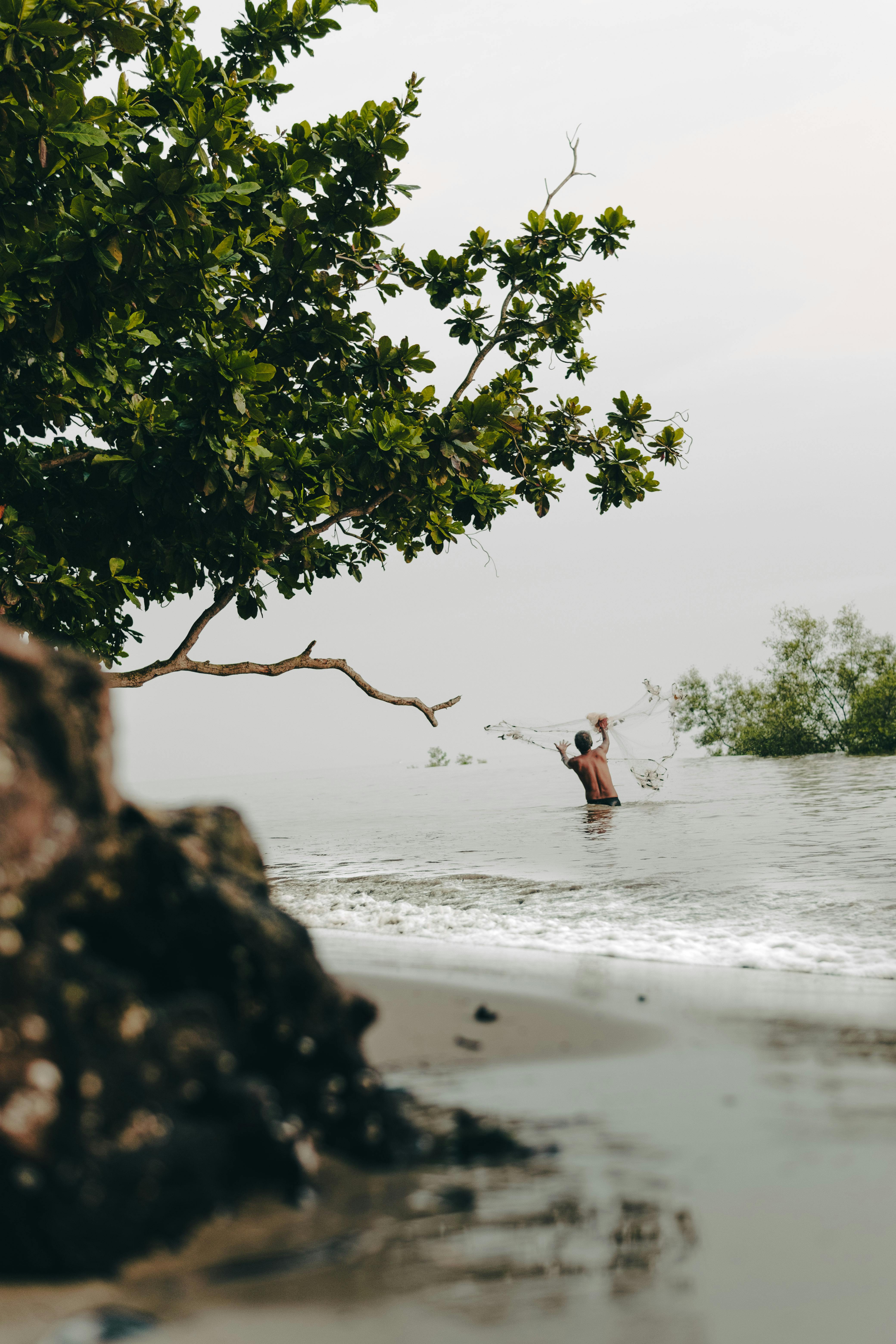 A Man Throwing Fishing Net on Water in the Lake · Free Stock Photo