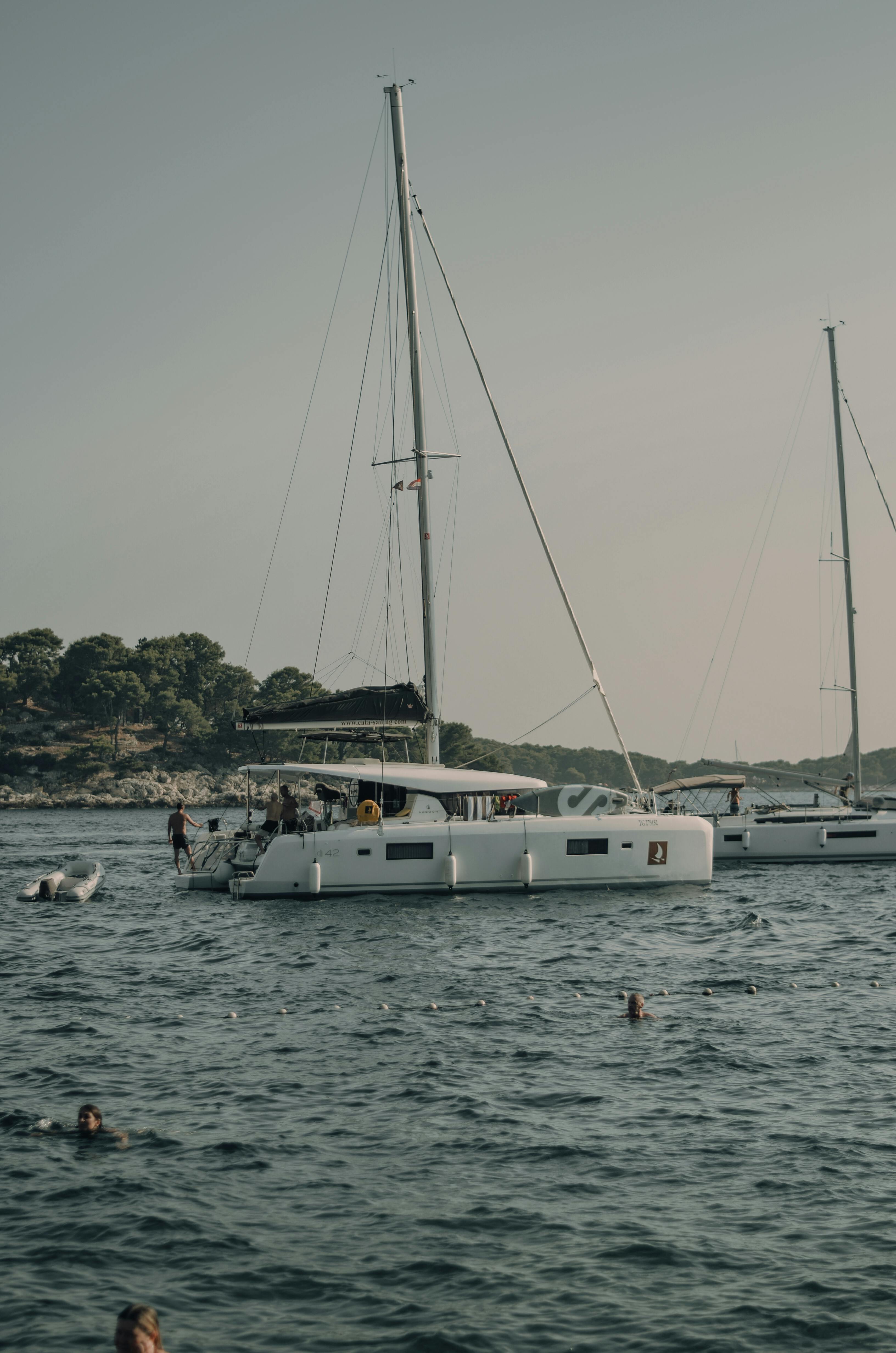 Fundaluri Naturale Photos, Download The BEST Free Fundaluri Naturale ...