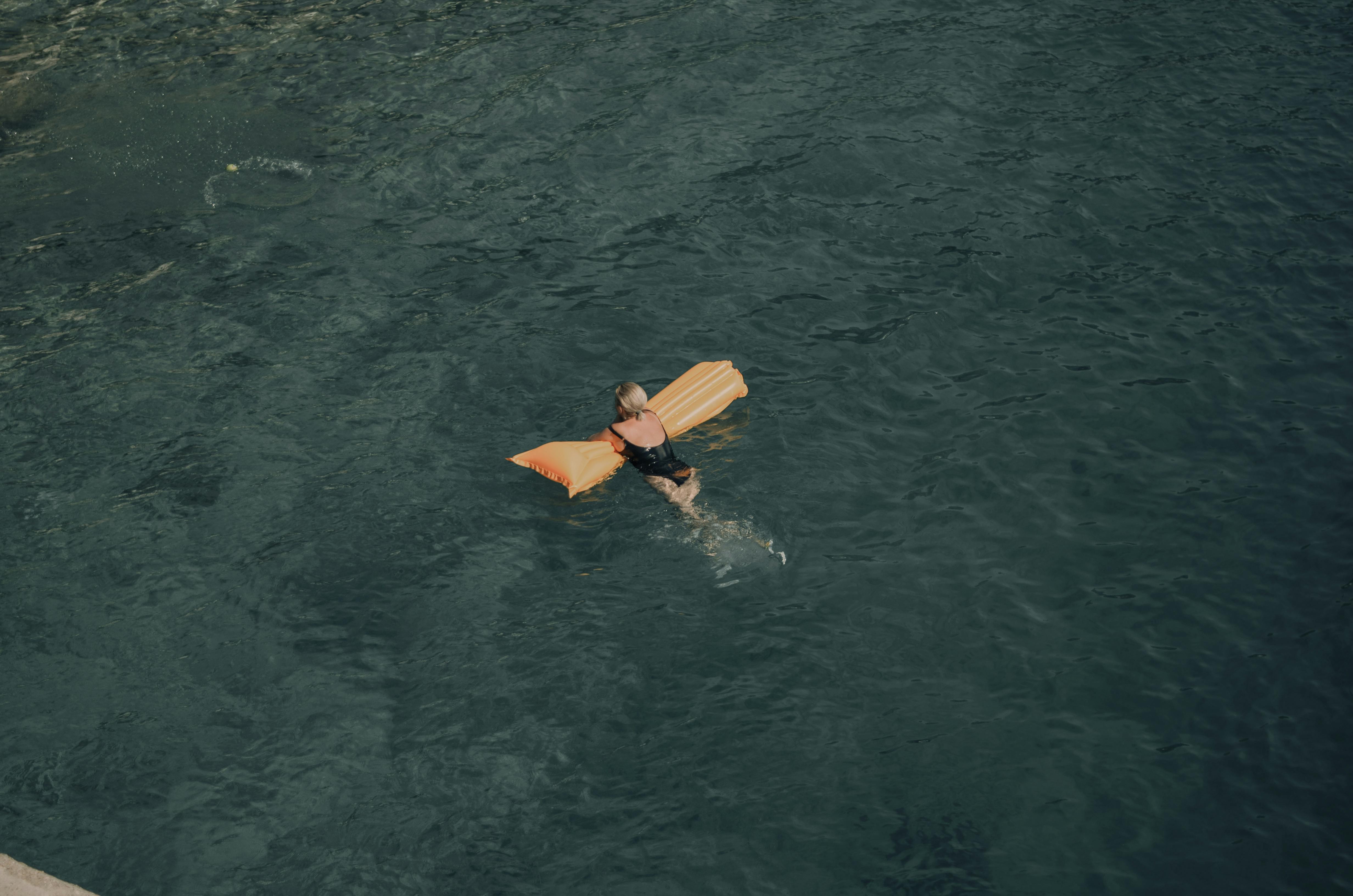 Fish Swimming in Water · Free Stock Photo