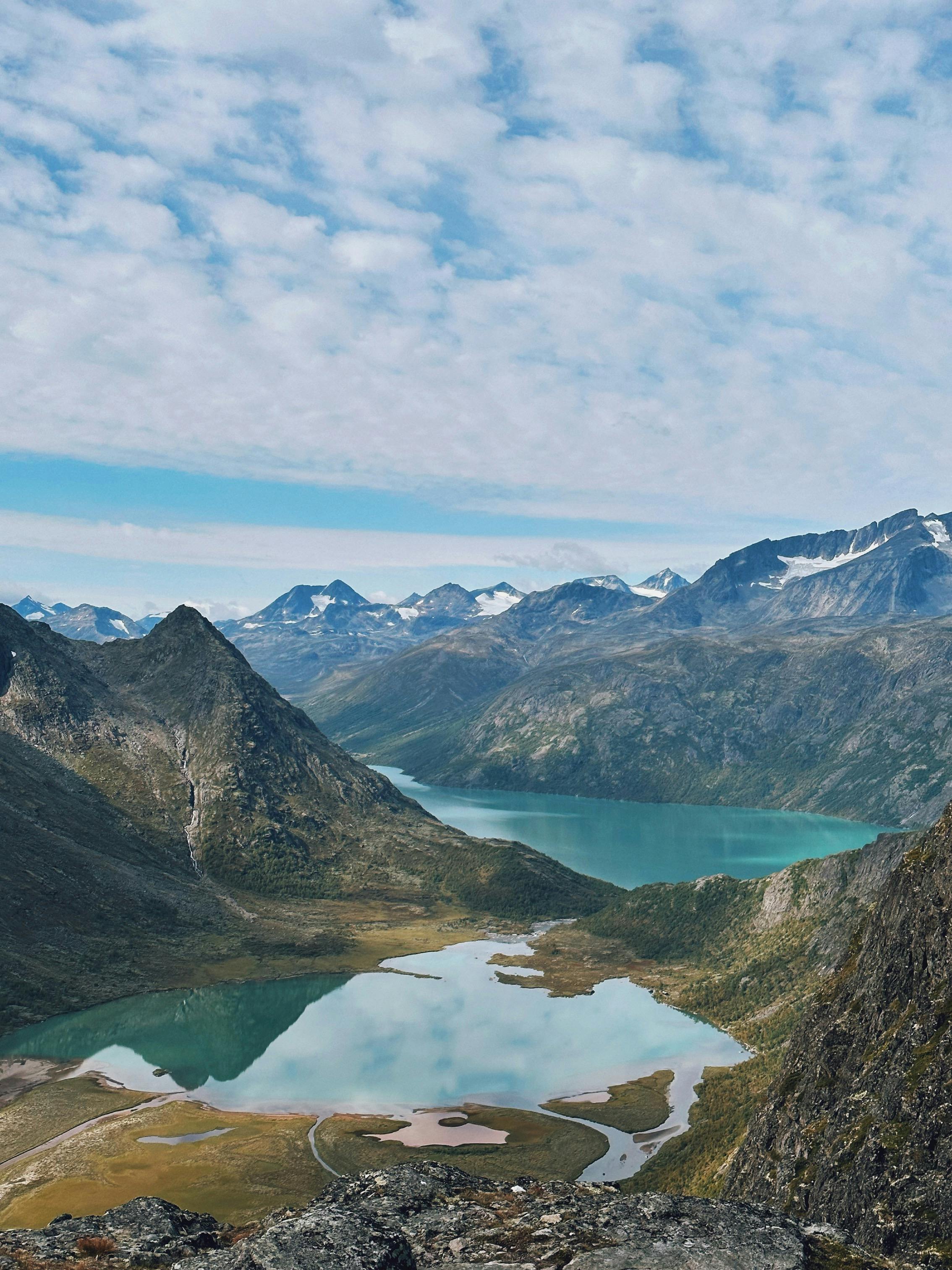 Spanish Juniper Tree by Lake · Free Stock Photo