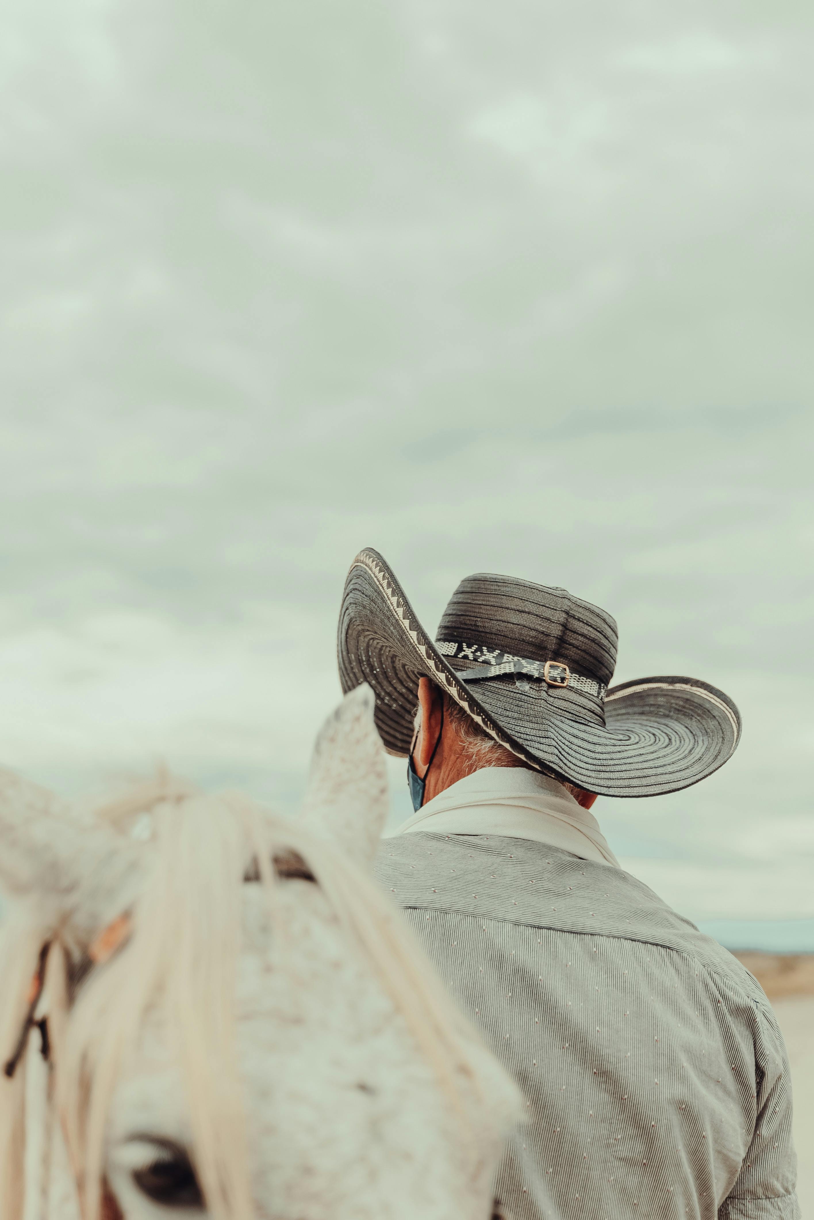 Man in Brown Cowboy Hat Riding A Horse · Free Stock Photo