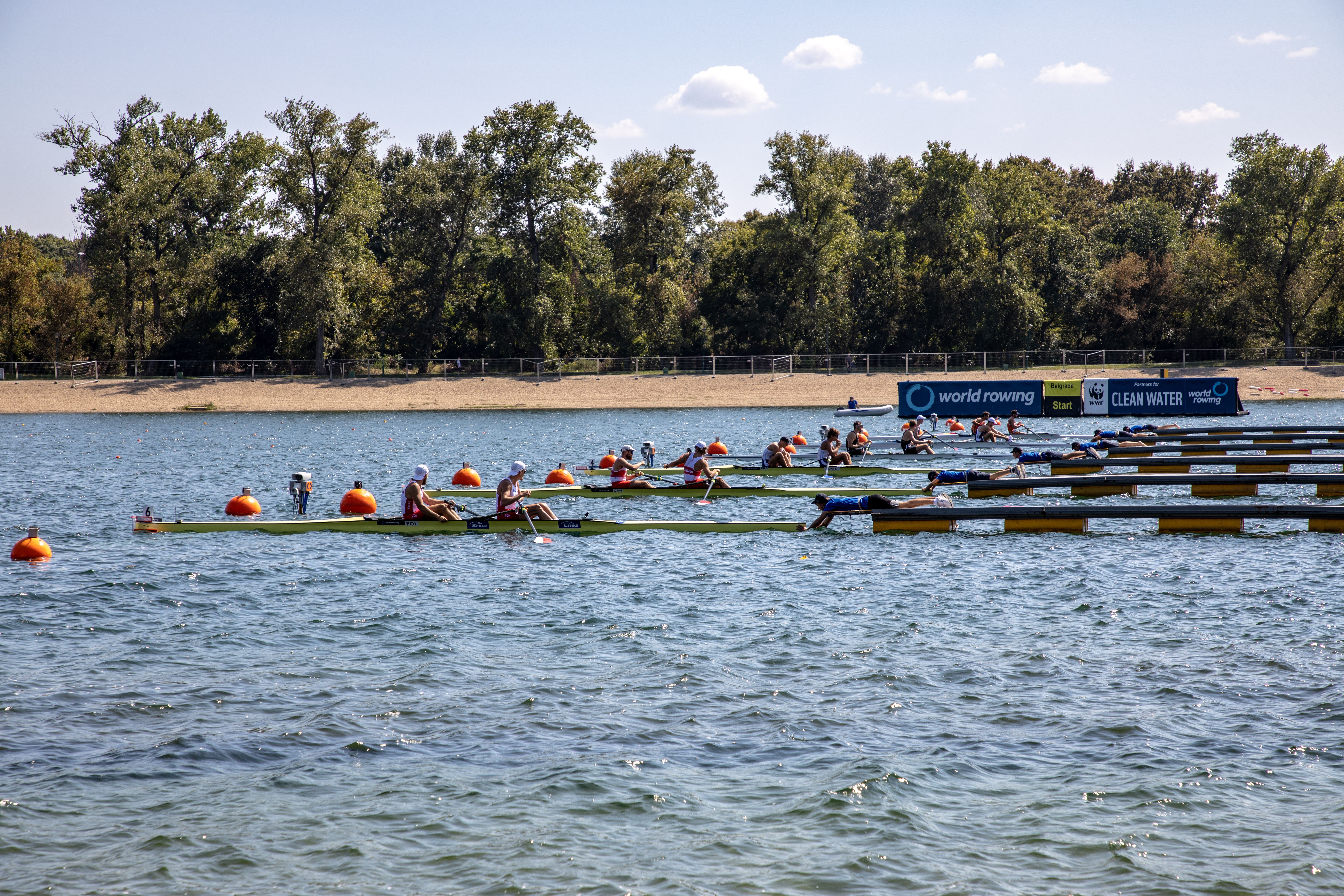 Rowing Competition on Lake · Free Stock Photo