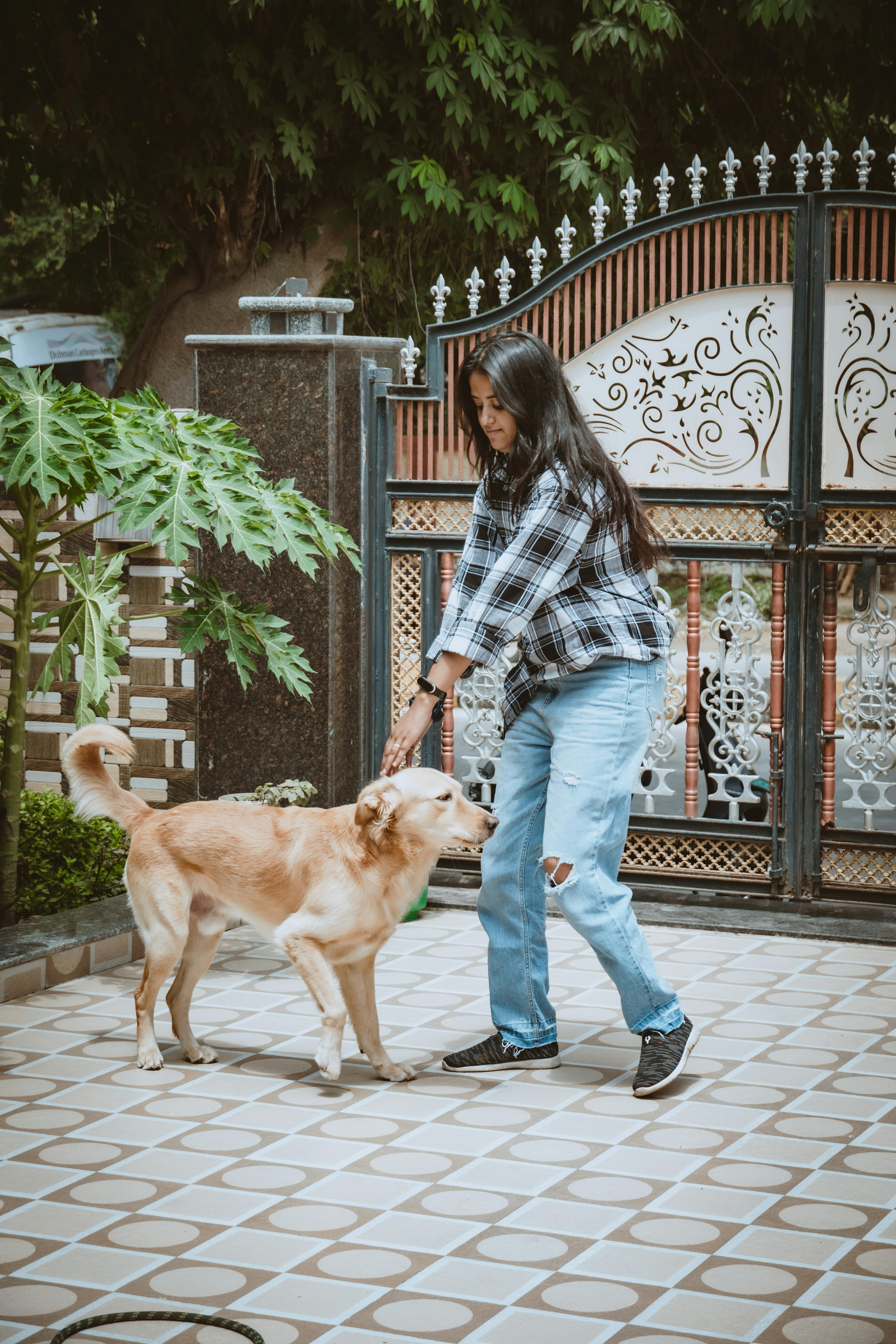 Woman with Dog on Driveway by Entrance Gate · Free Stock Photo