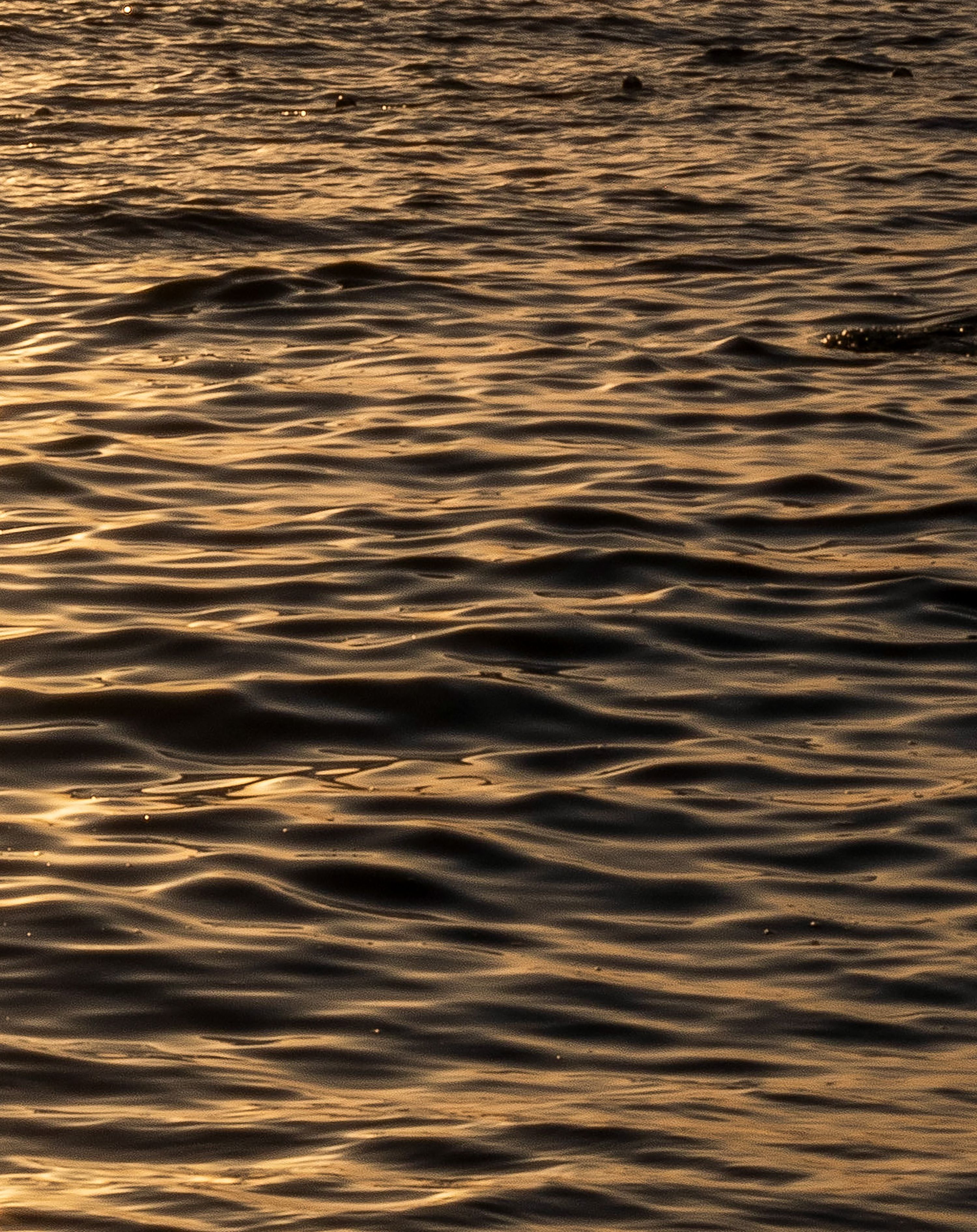 Wavy Water at Sunset · Free Stock Photo