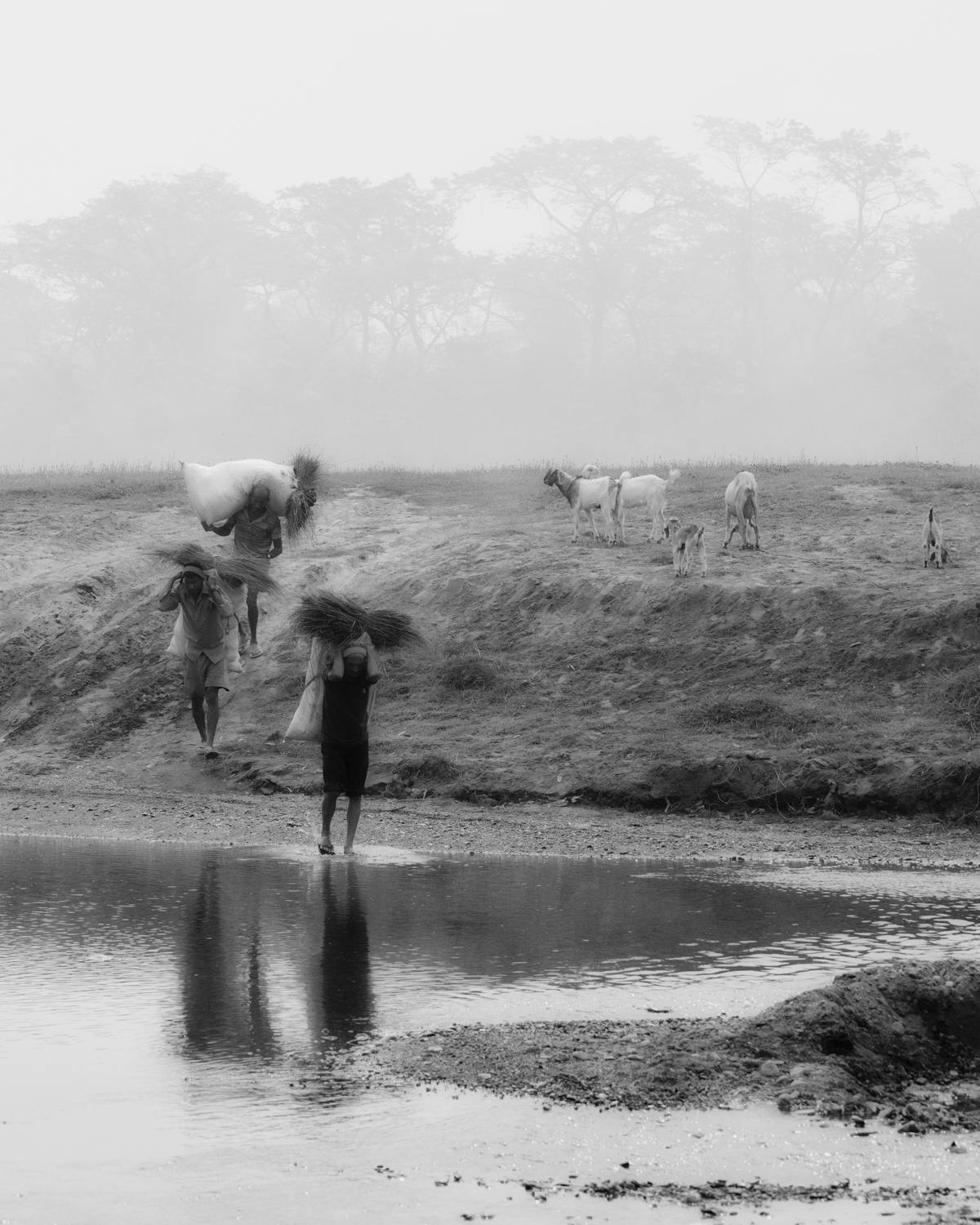 People In Countryside Photos, Download The BEST Free People In ...