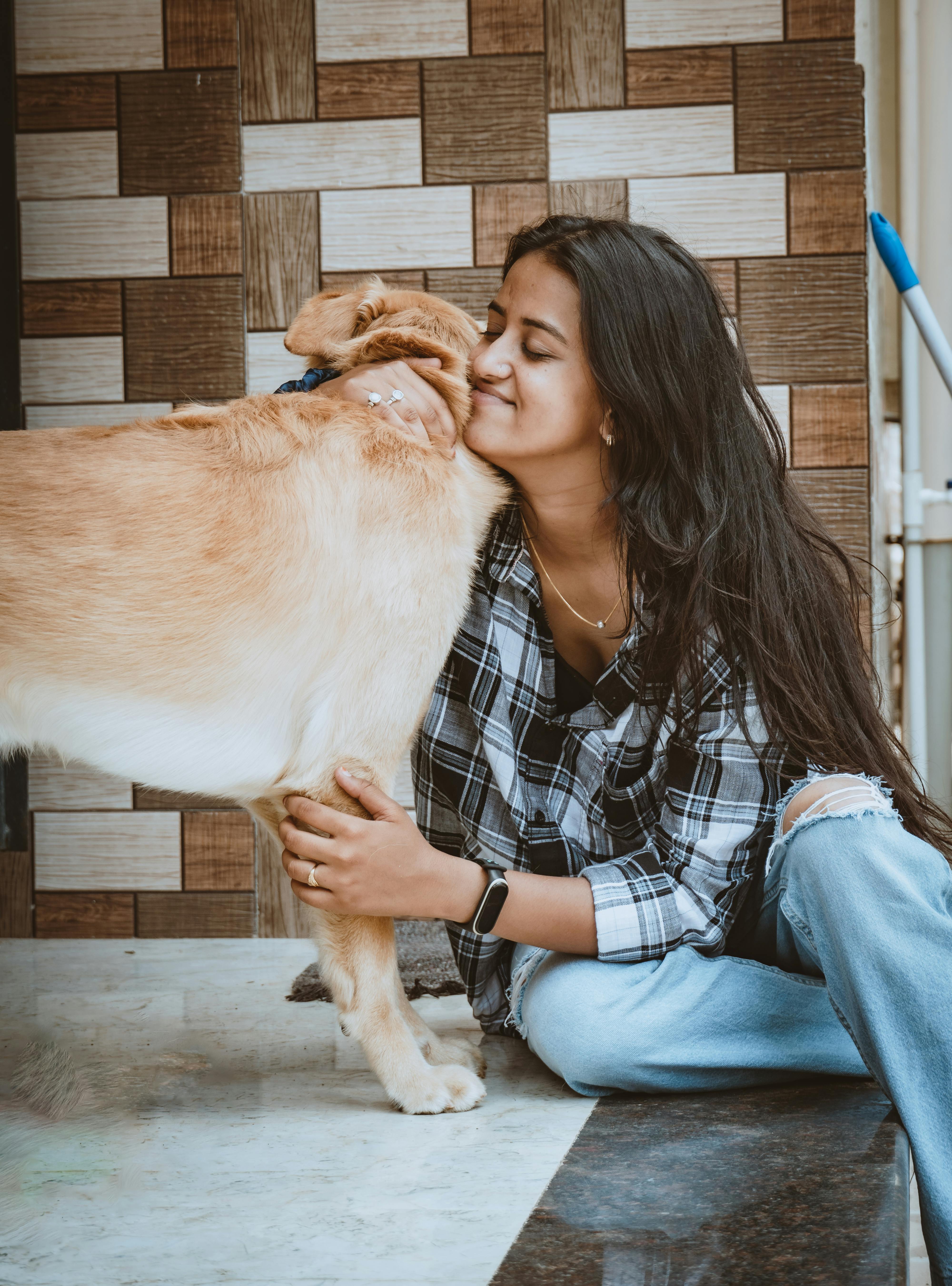 Dog Pulling On Shirt And Ripping Photos, Download The BEST Free Dog ...