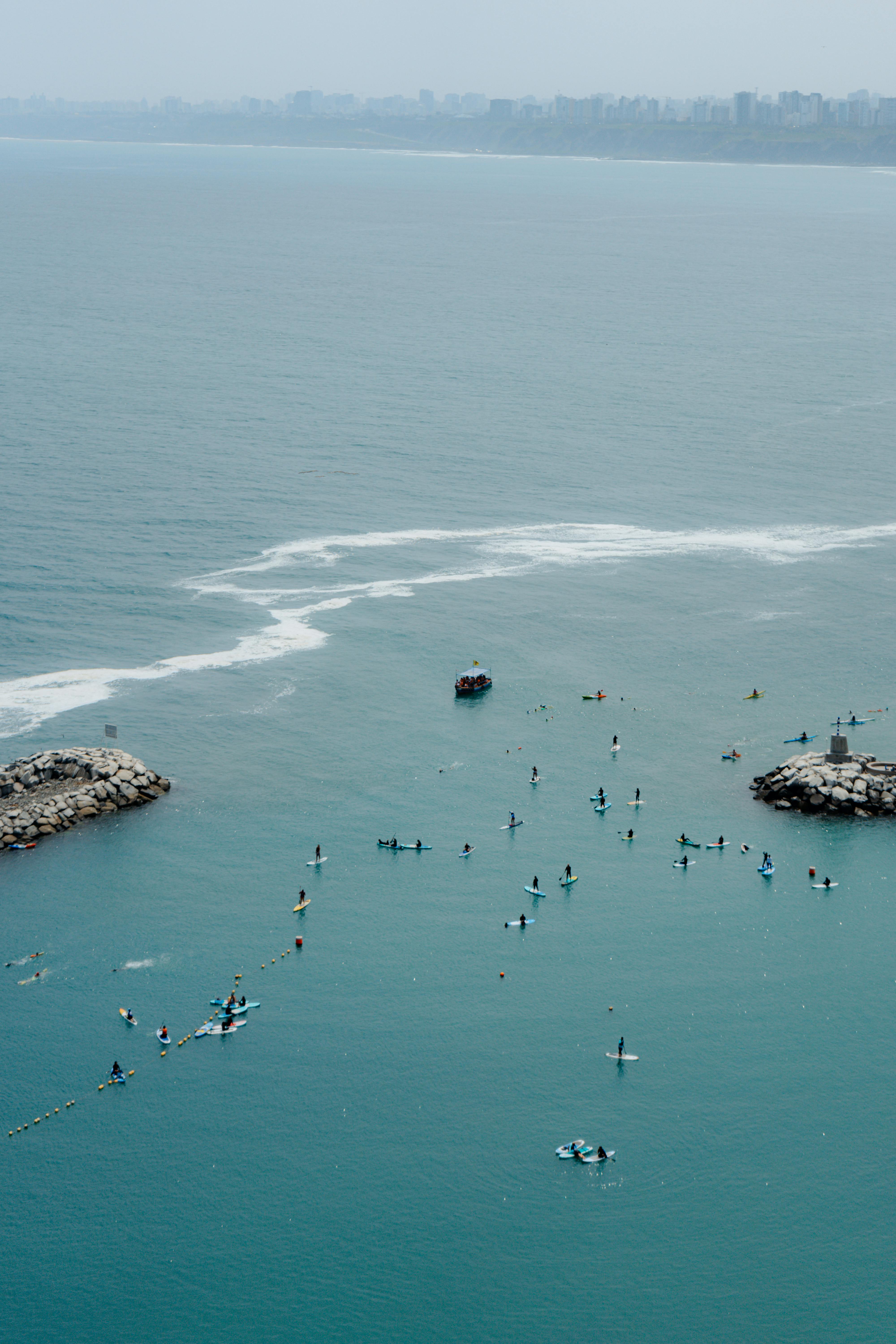 Women holding Paddle at the Beach · Free Stock Photo