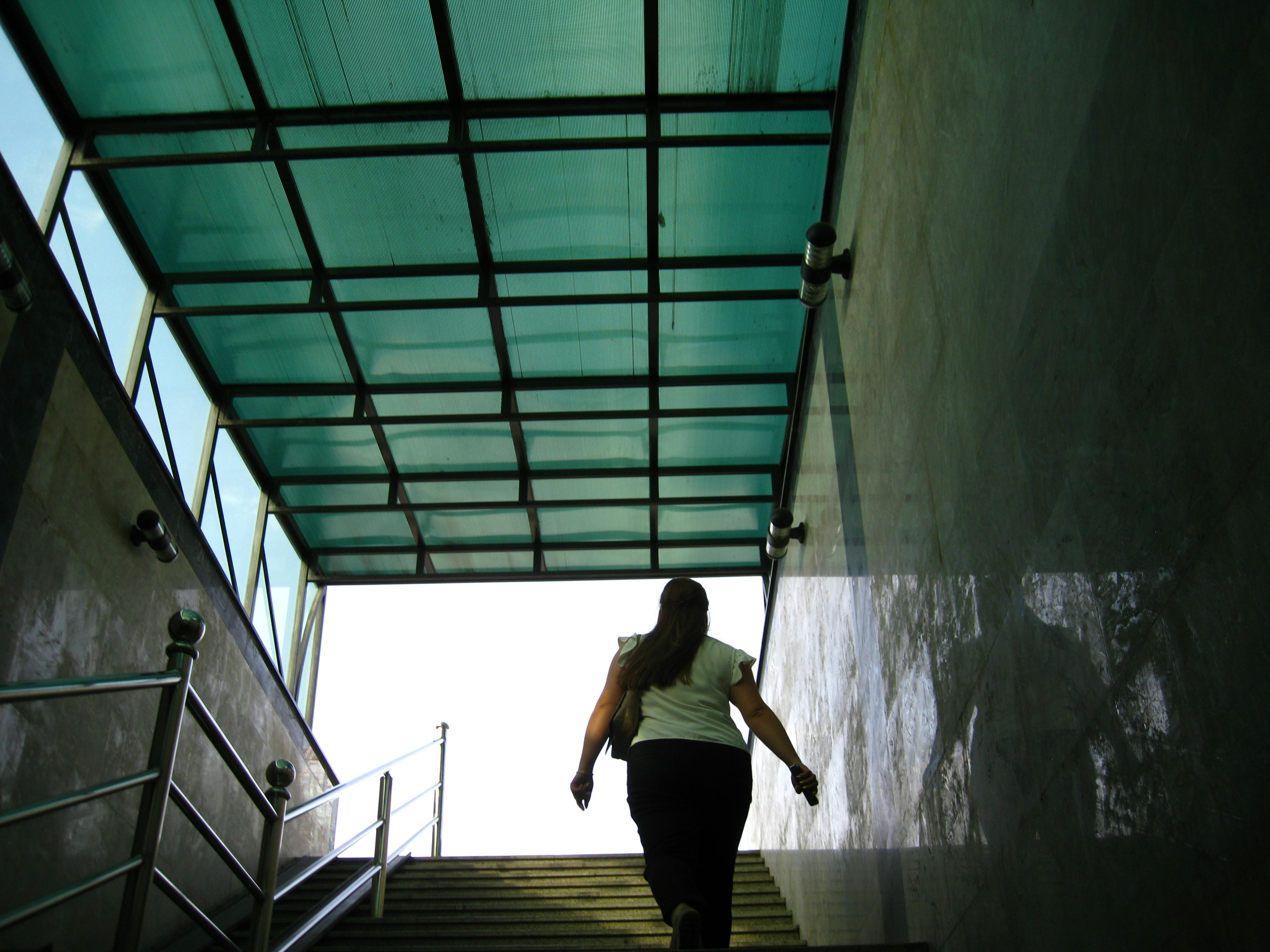 Woman Climbing Up the Steps · Free Stock Photo