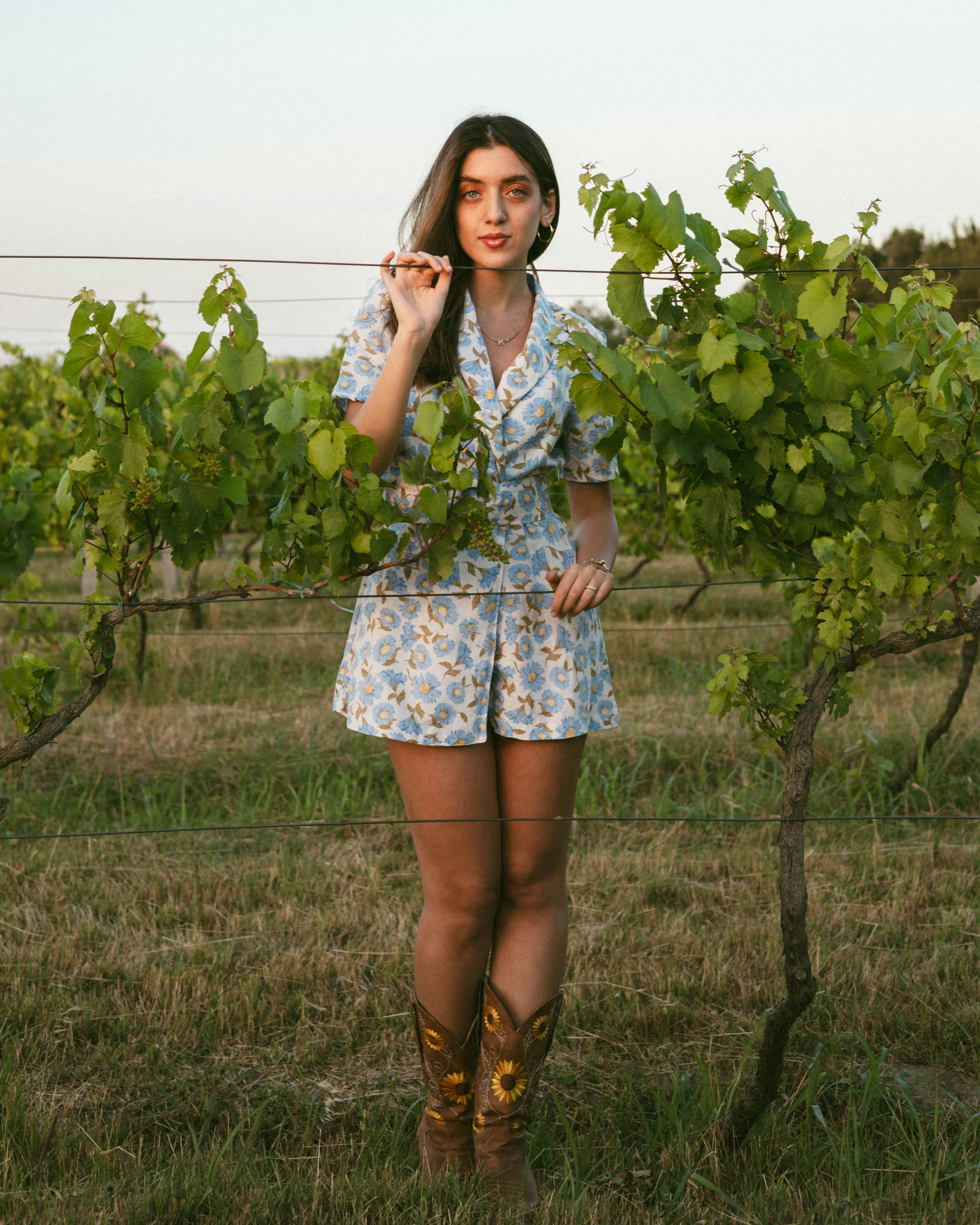 Vine Cool Photos, Download The BEST Free Vine Cool Stock Photos & HD Images