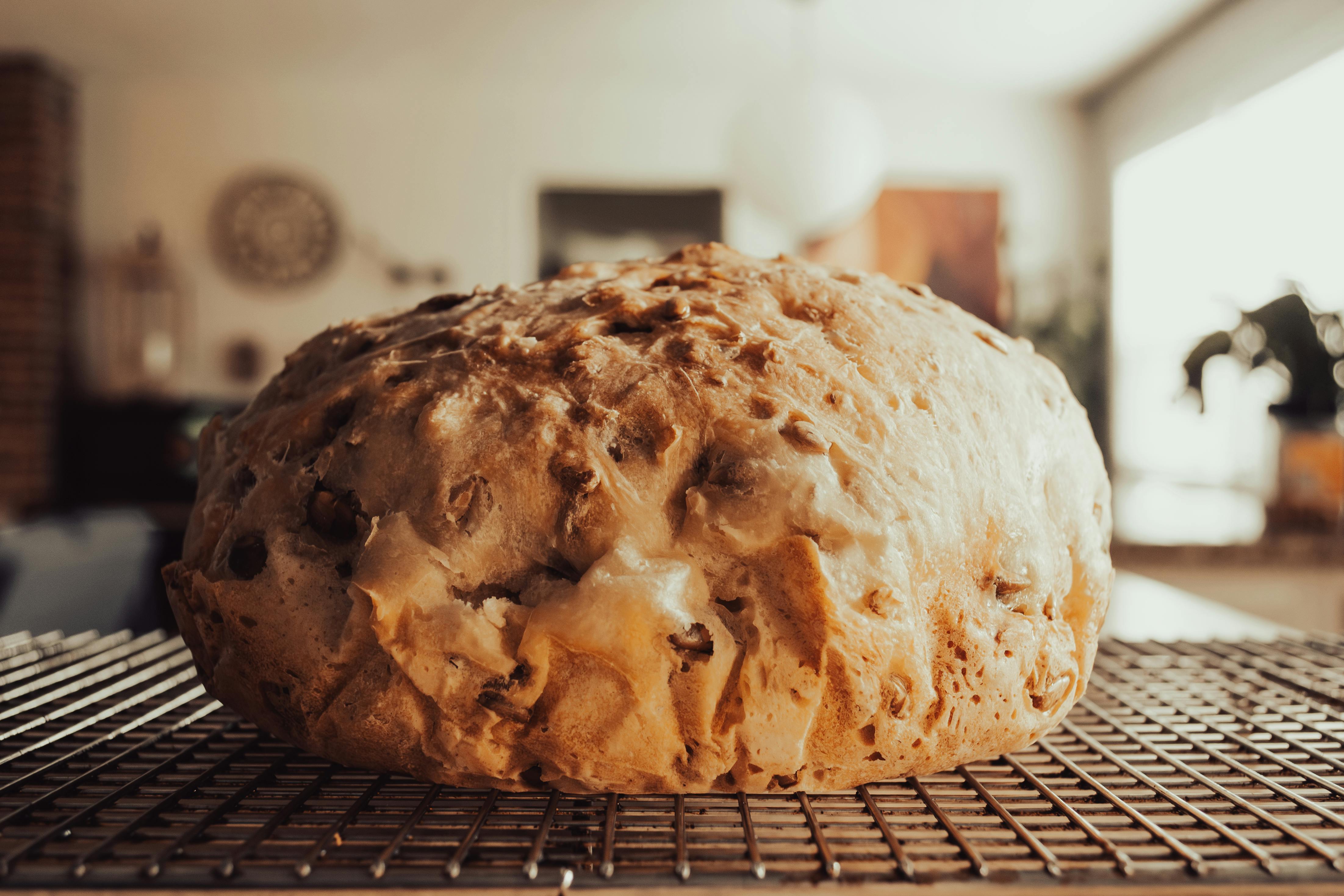 Lump of Bread Dough Lying on a Metal Mesh · Free Stock Photo