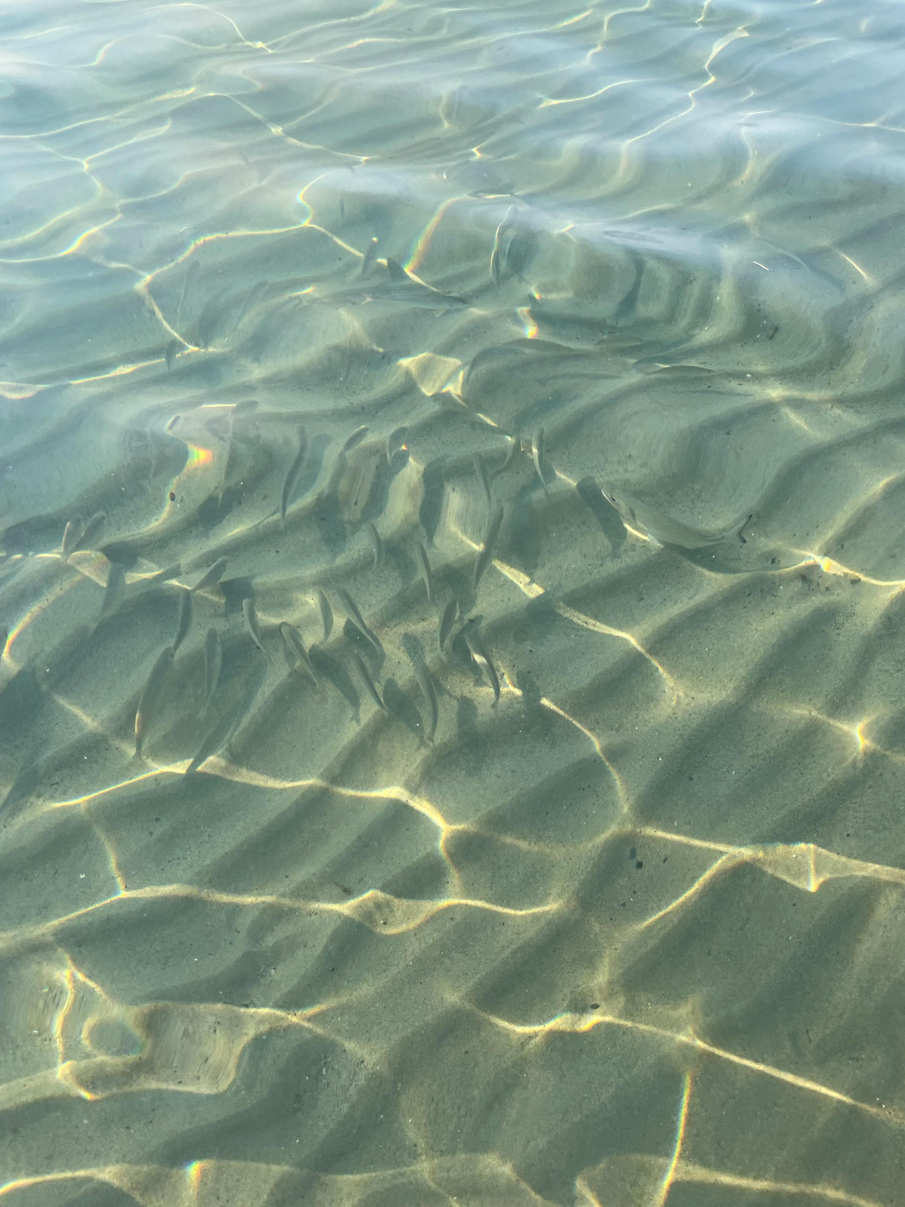 Bird's Eye View of Sea · Free Stock Photo