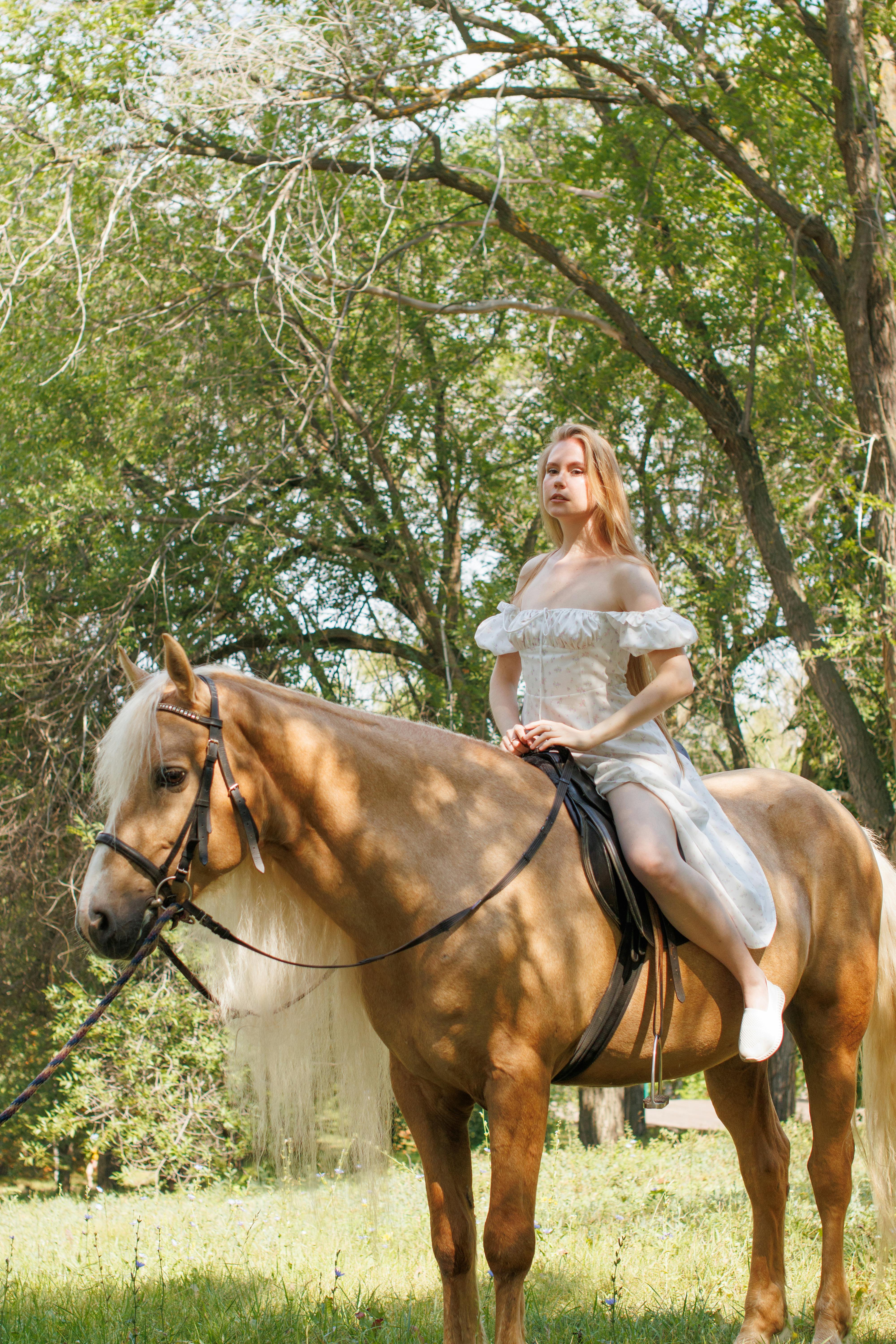 Beautiful Young Woman Riding a Horse · Free Stock Photo
