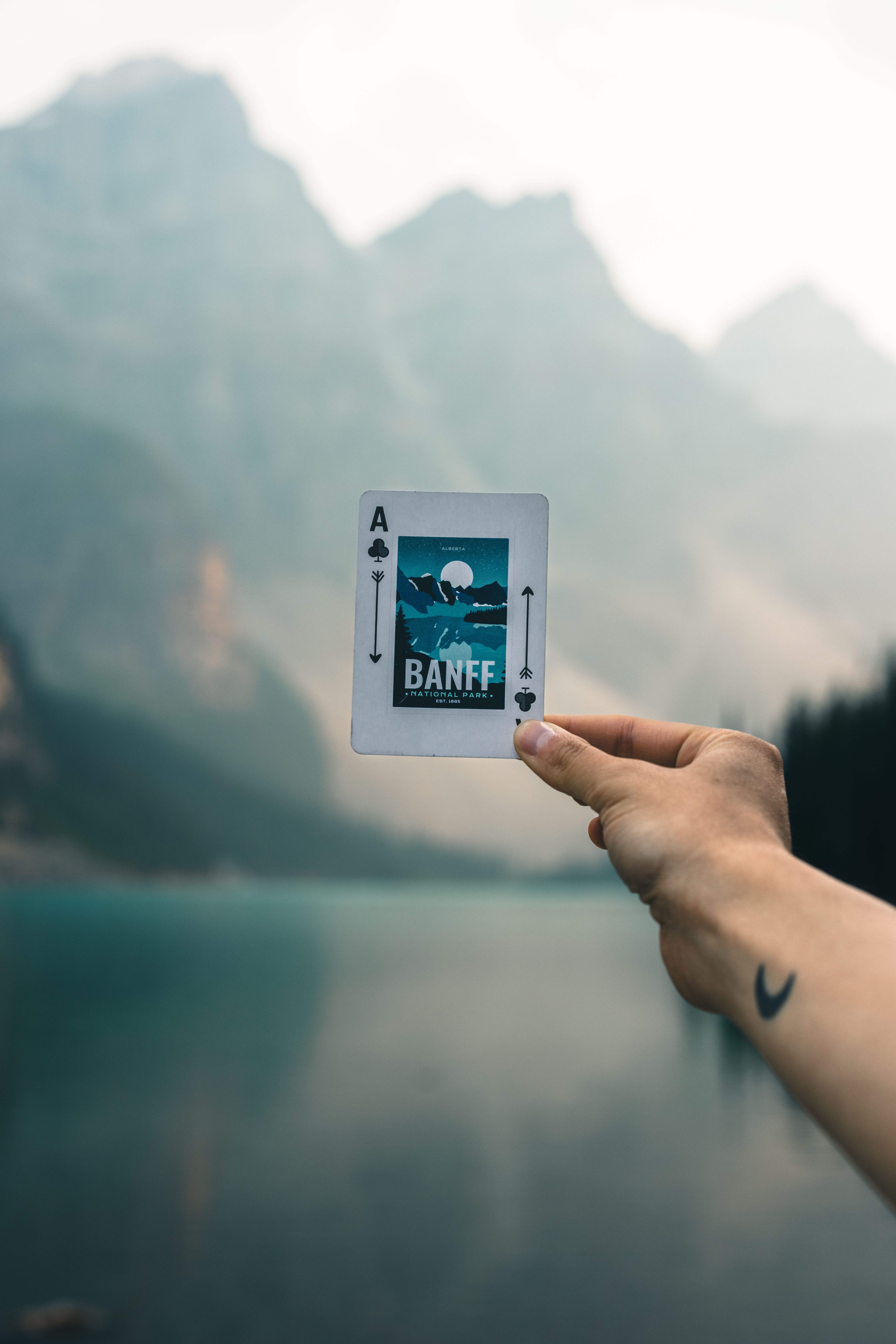 Wild Playing Card Photos, Download The BEST Free Wild Playing Card ...