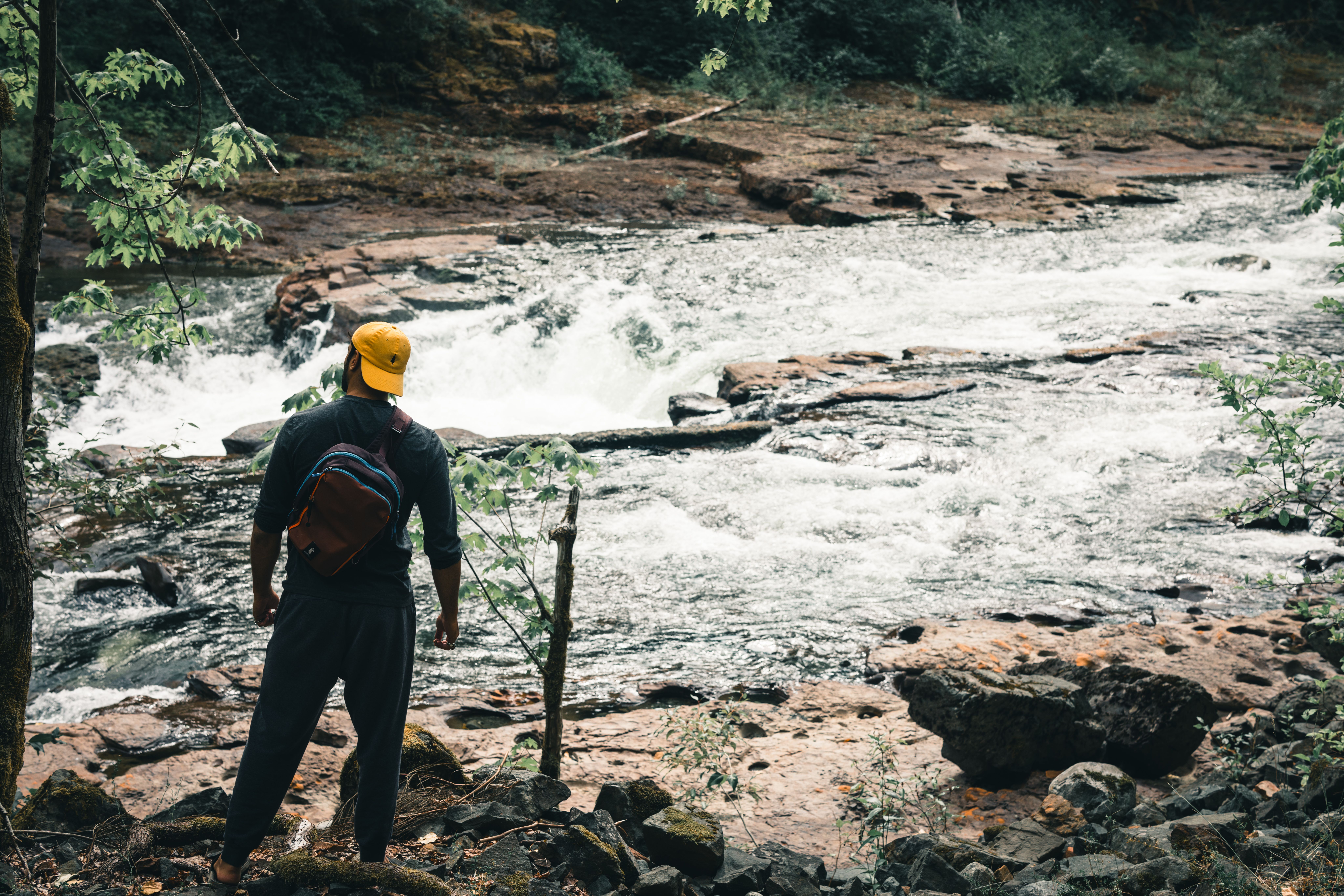 Stamp River Provincial Park · Free Stock Photo