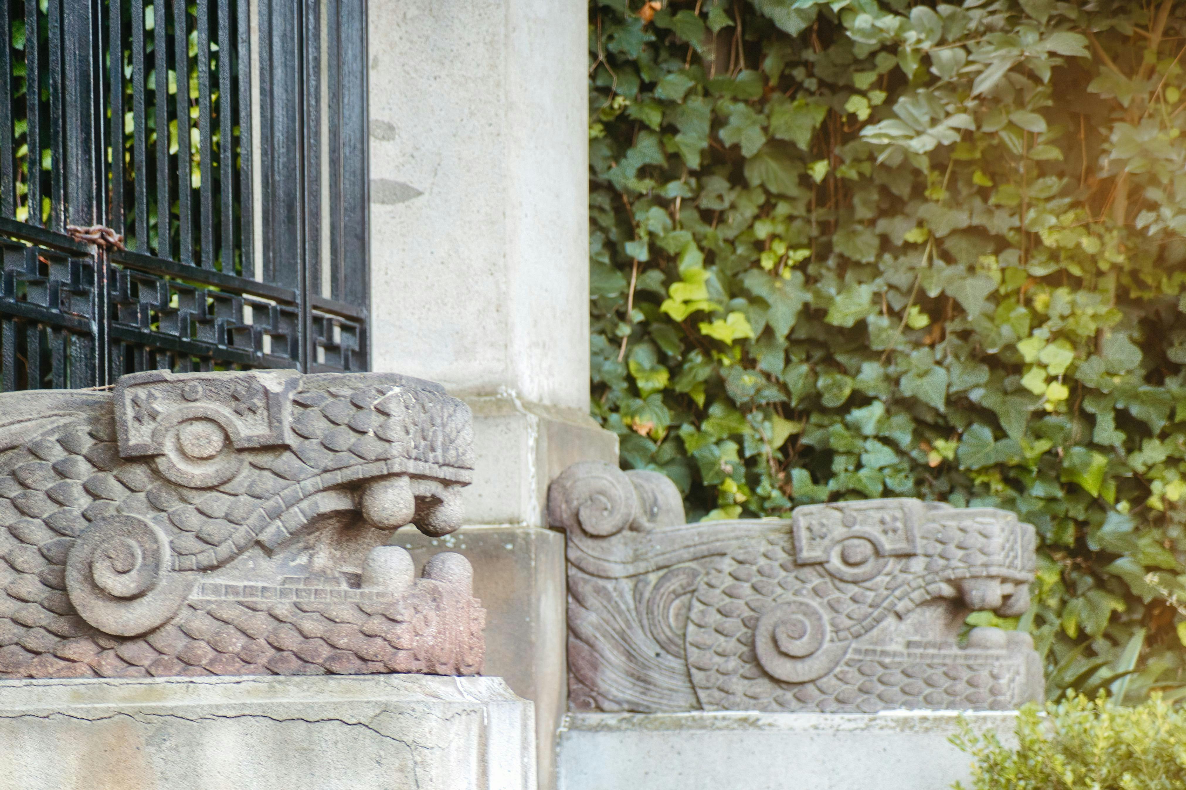 Ninja Gate Photos, Download The BEST Free Ninja Gate Stock Photos & HD ...