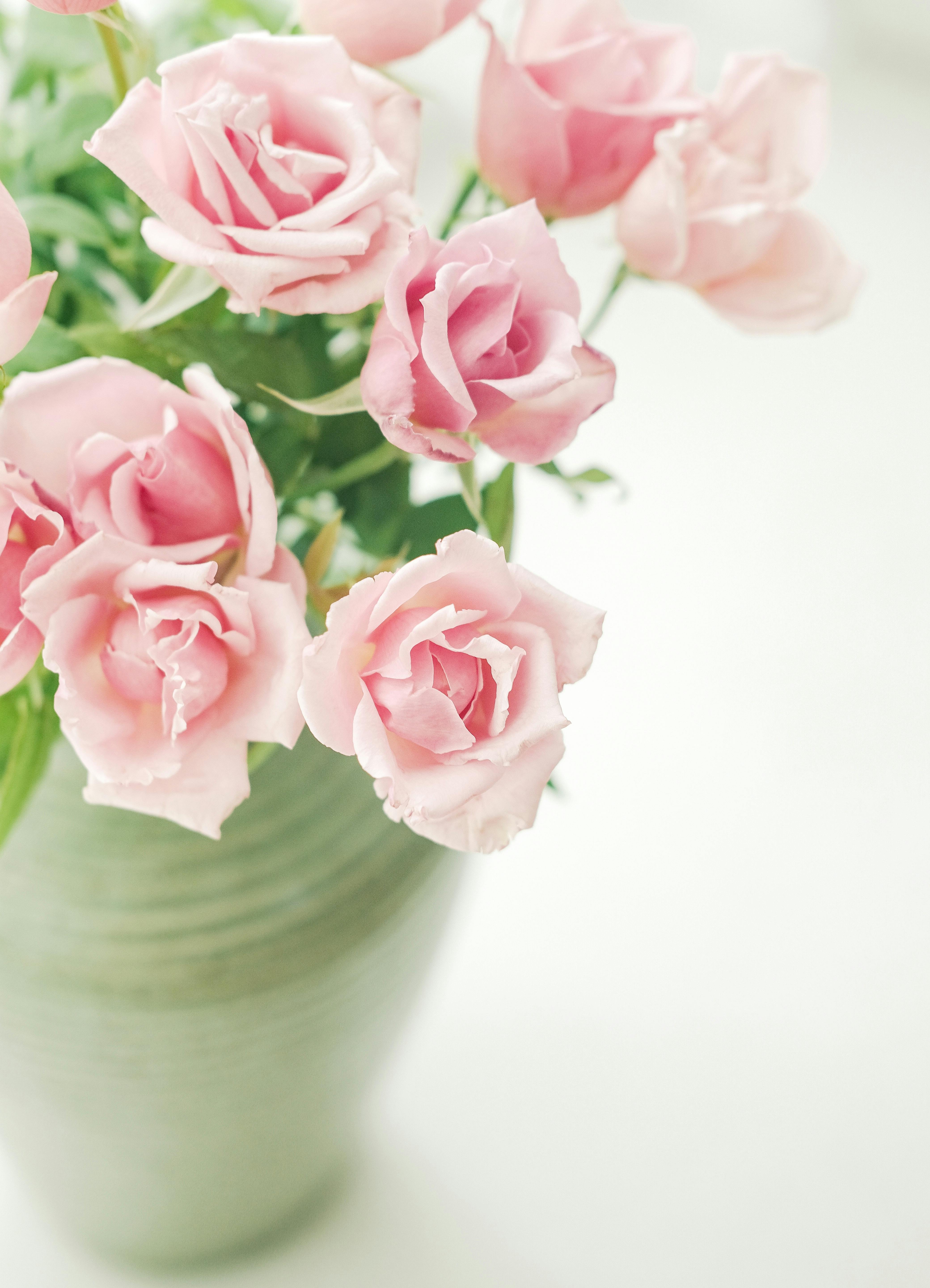 Pink Roses in Pottery Vase · Free Stock Photo