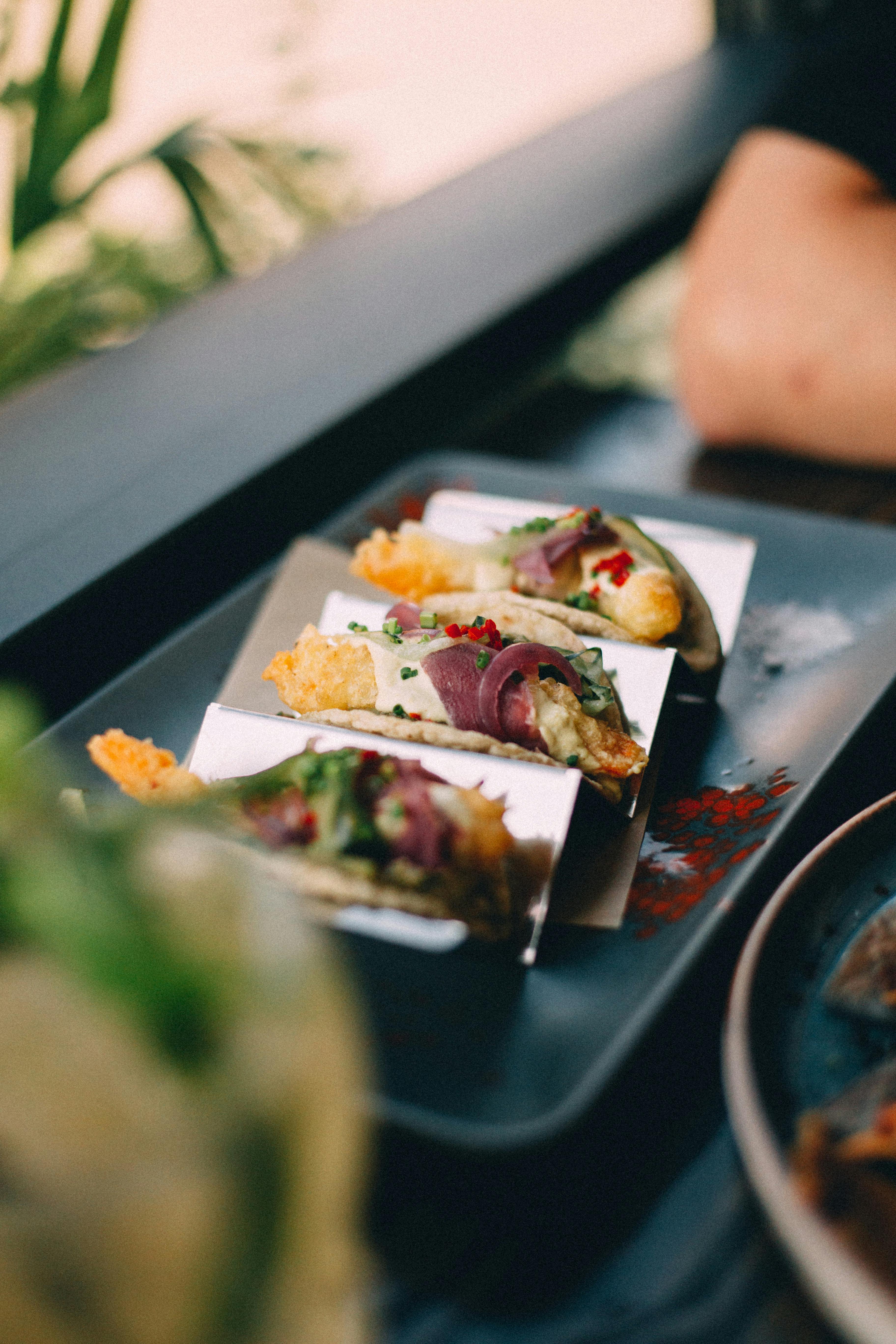 Tacos on Plate · Free Stock Photo