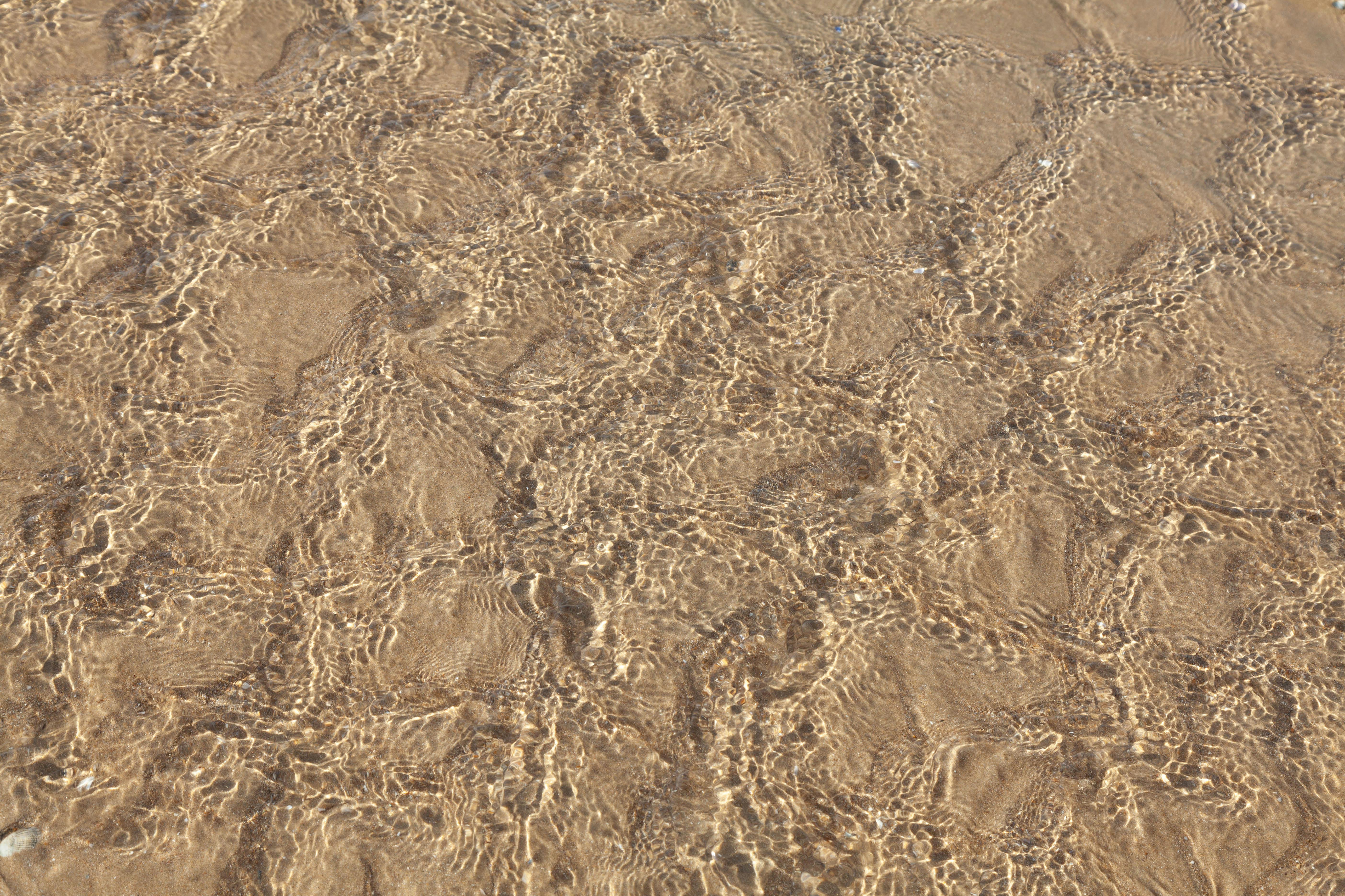 Transparent Water on Shore · Free Stock Photo