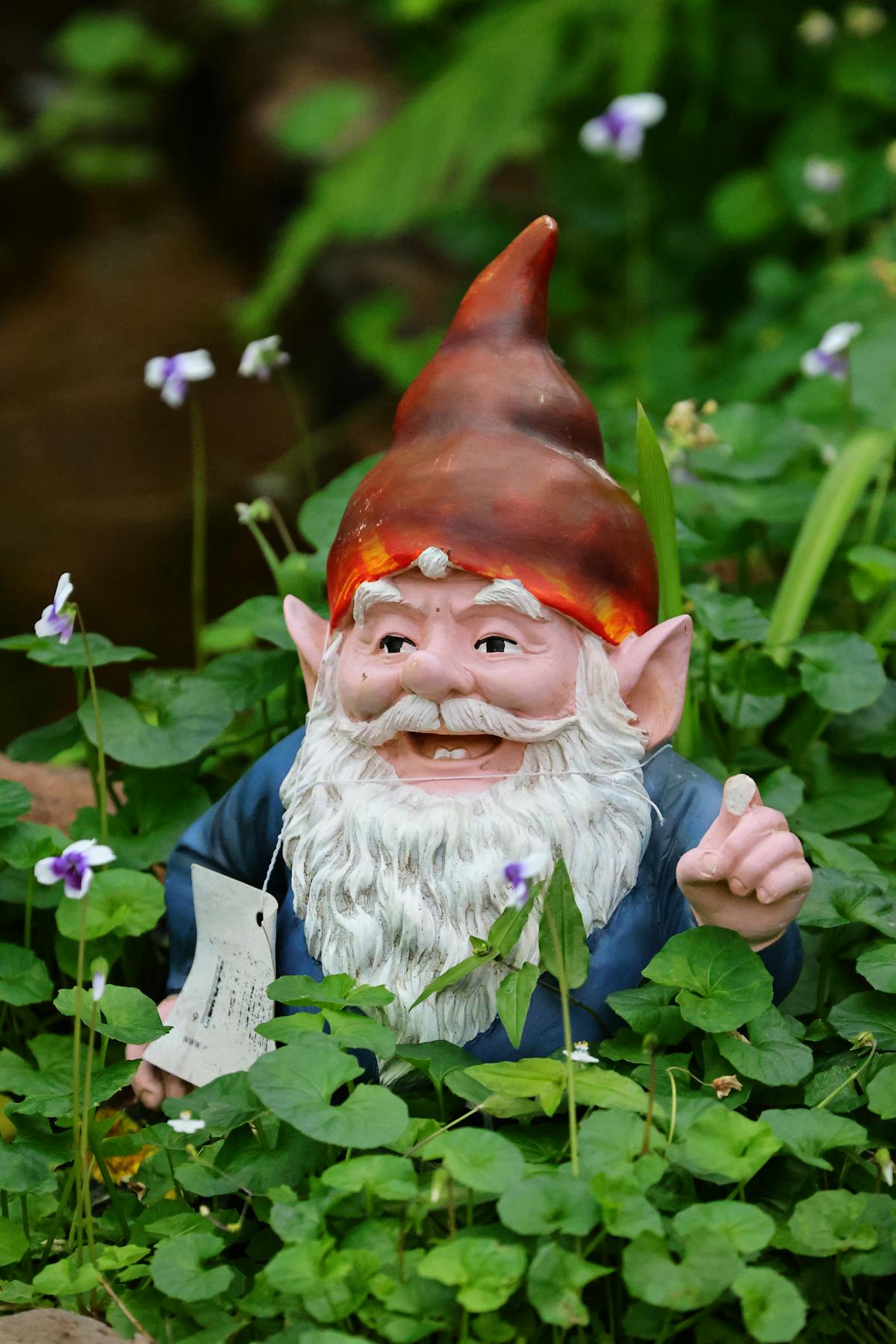 Gnome Photos, Download The BEST Free Gnome Stock Photos & HD Images