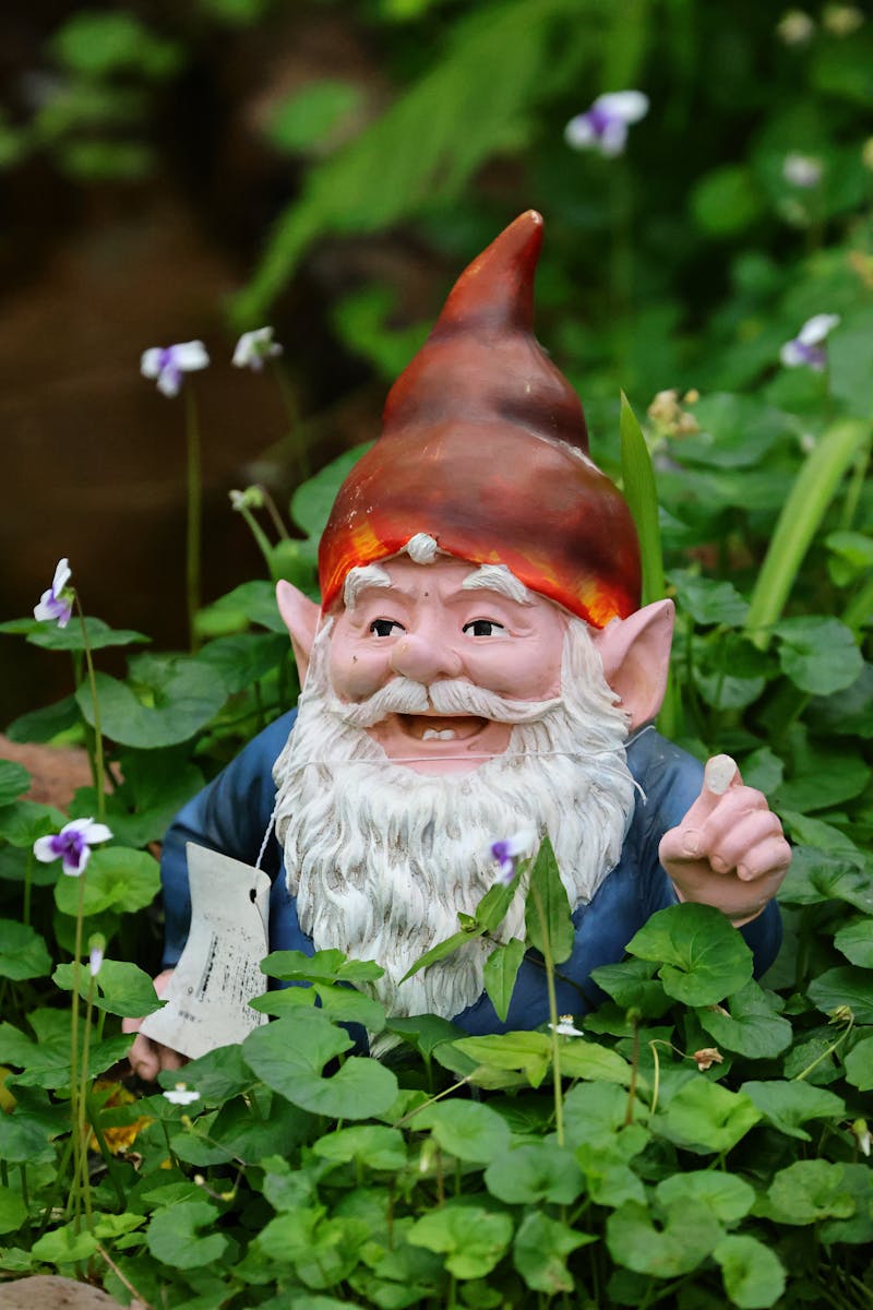 Gnome Photos, Download The BEST Free Gnome Stock Photos & HD Images