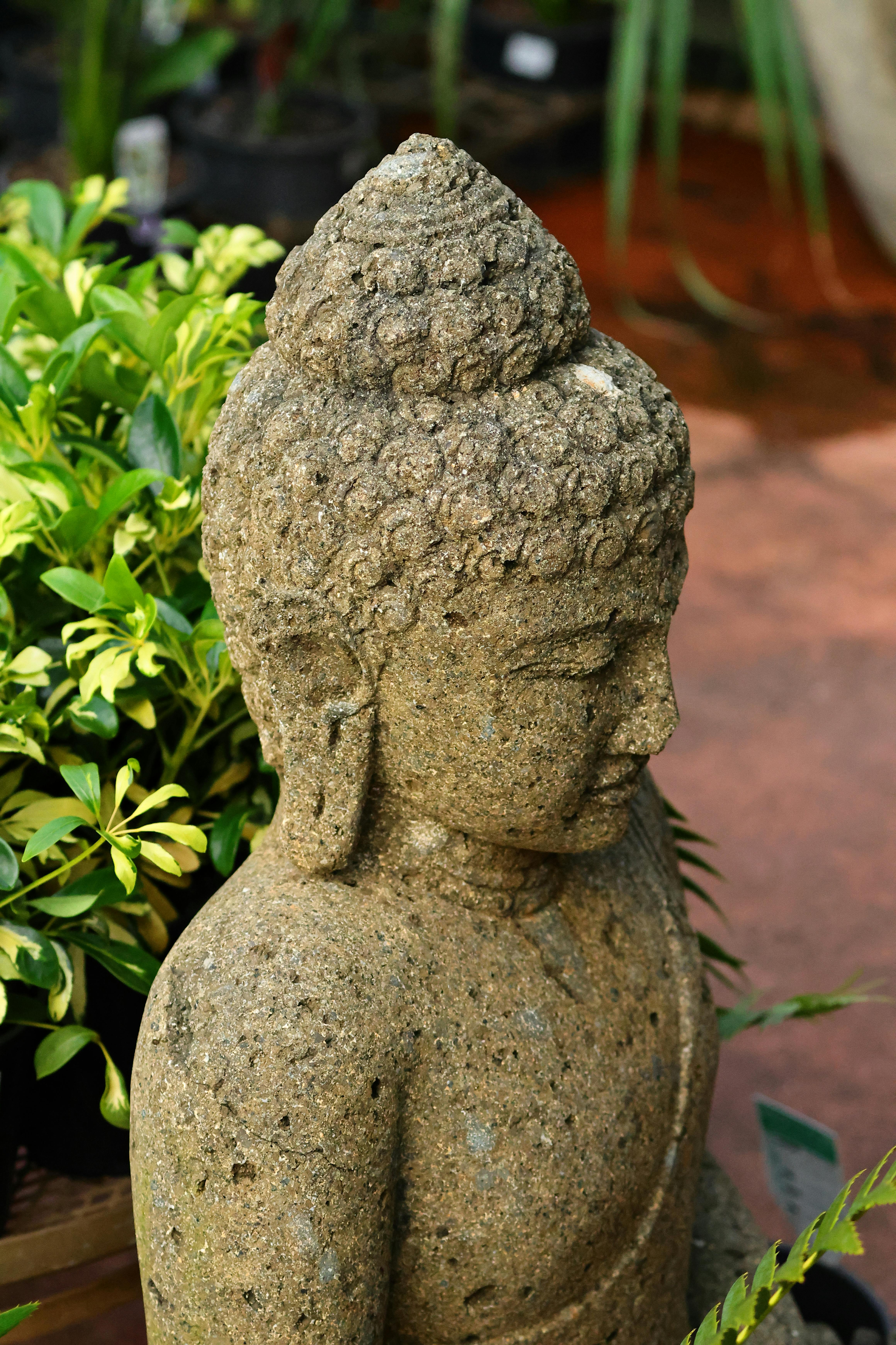 Peaceful Buddha statue amidst lush greenery outdoors · Free Stock Photo