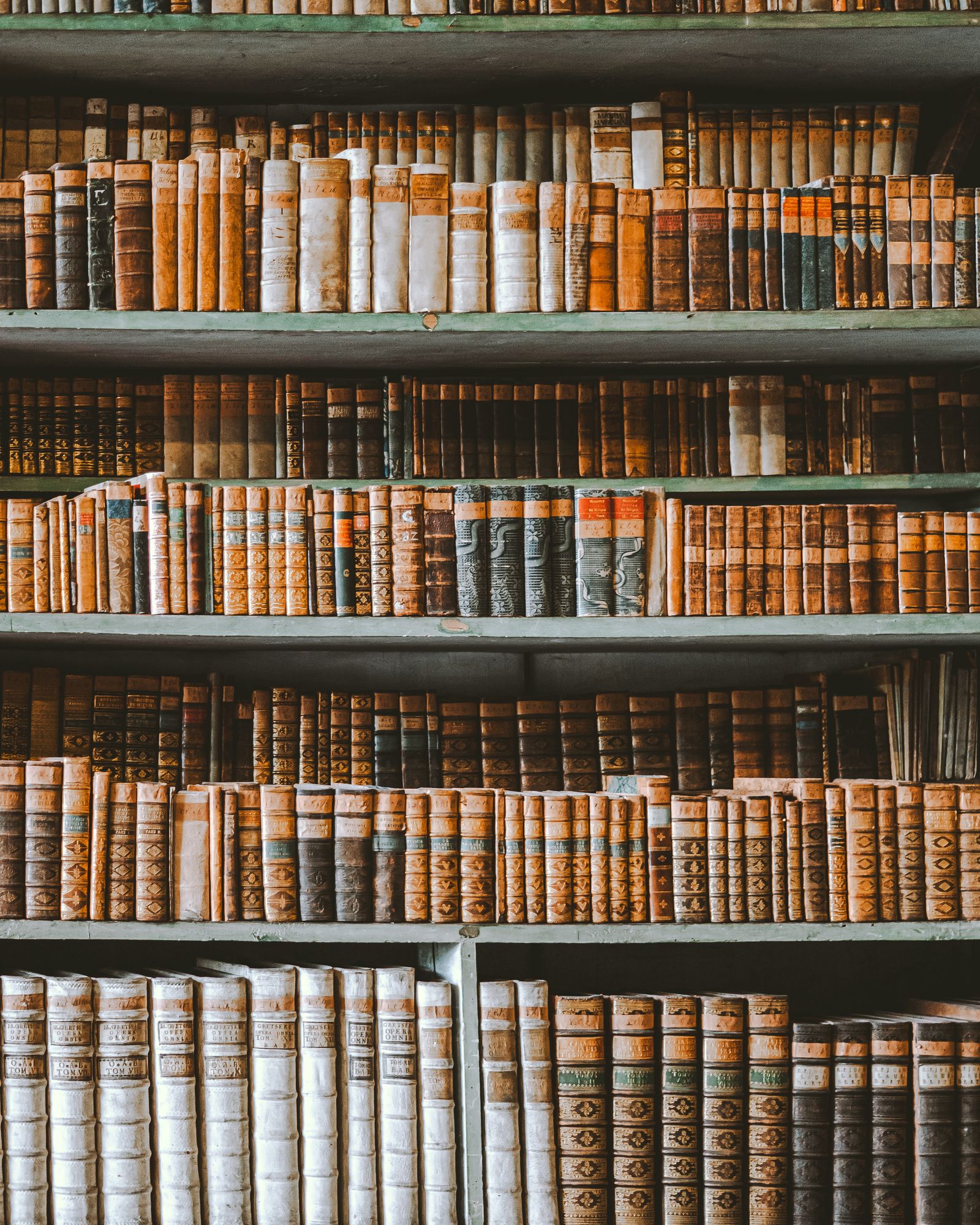 Empty Bookshelf Background Photos, Download The BEST Free Empty ...