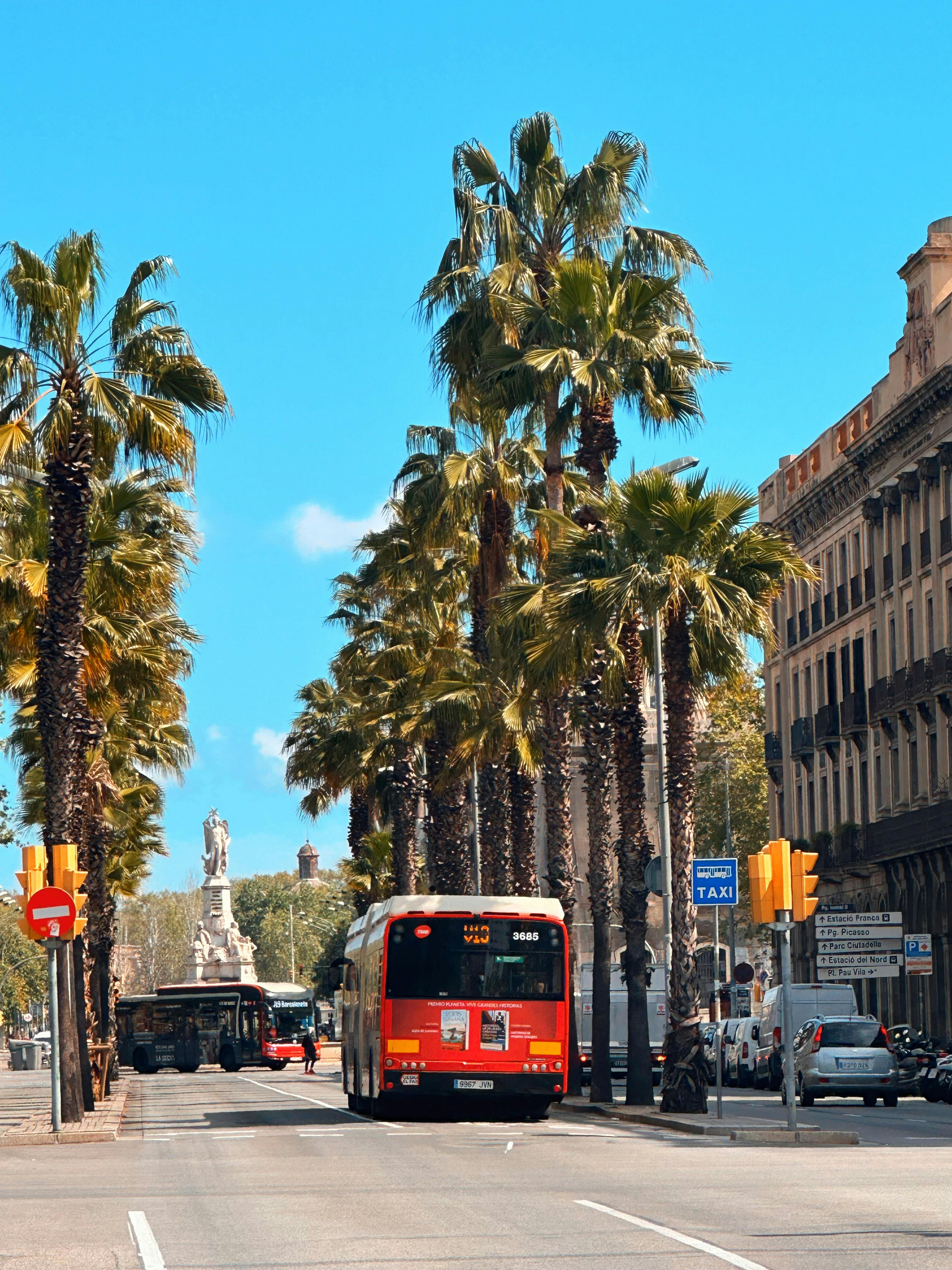 A Bus on the Street between Palm Trees in City · Free Stock Photo
