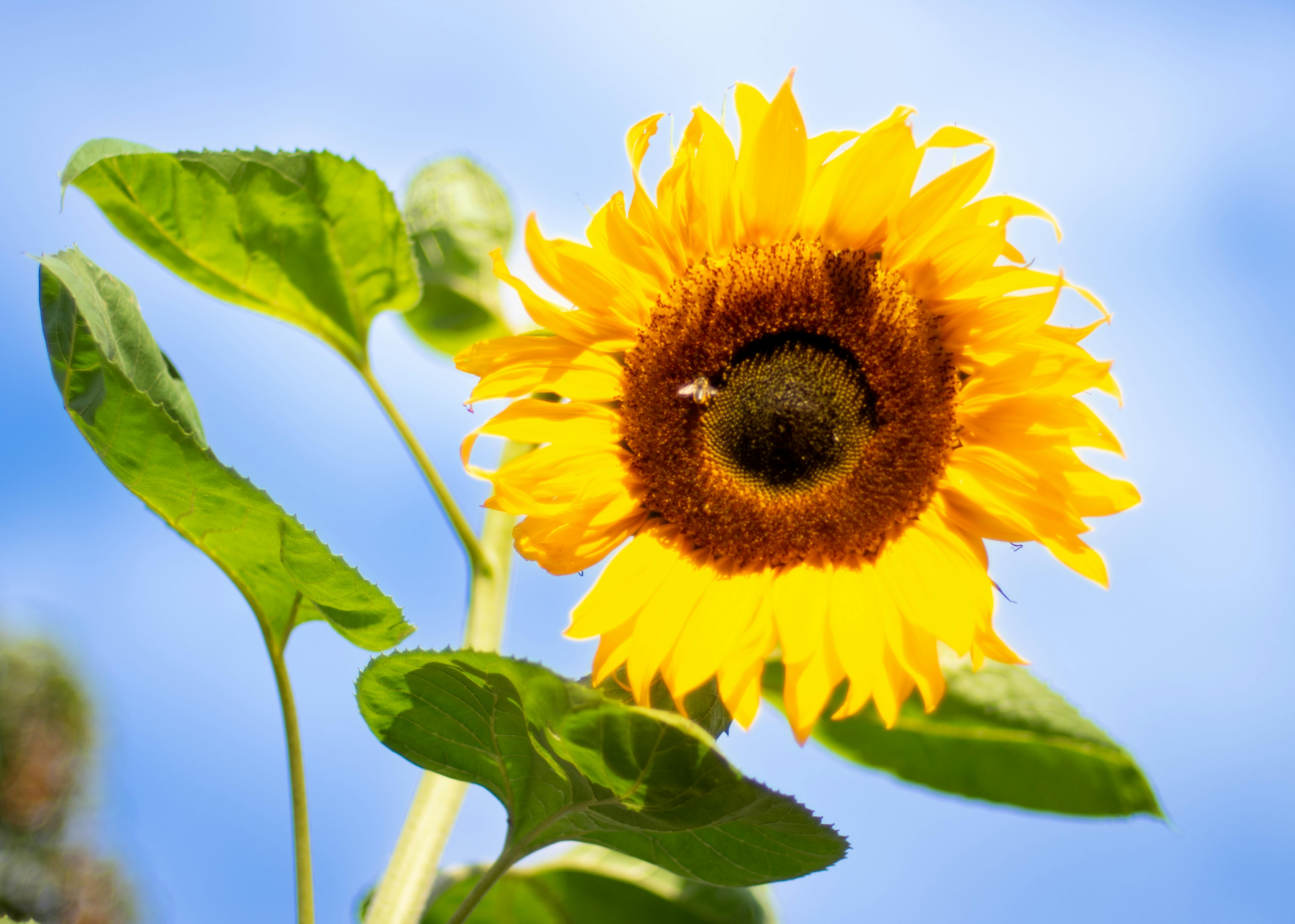 Tim Morgan - Photography