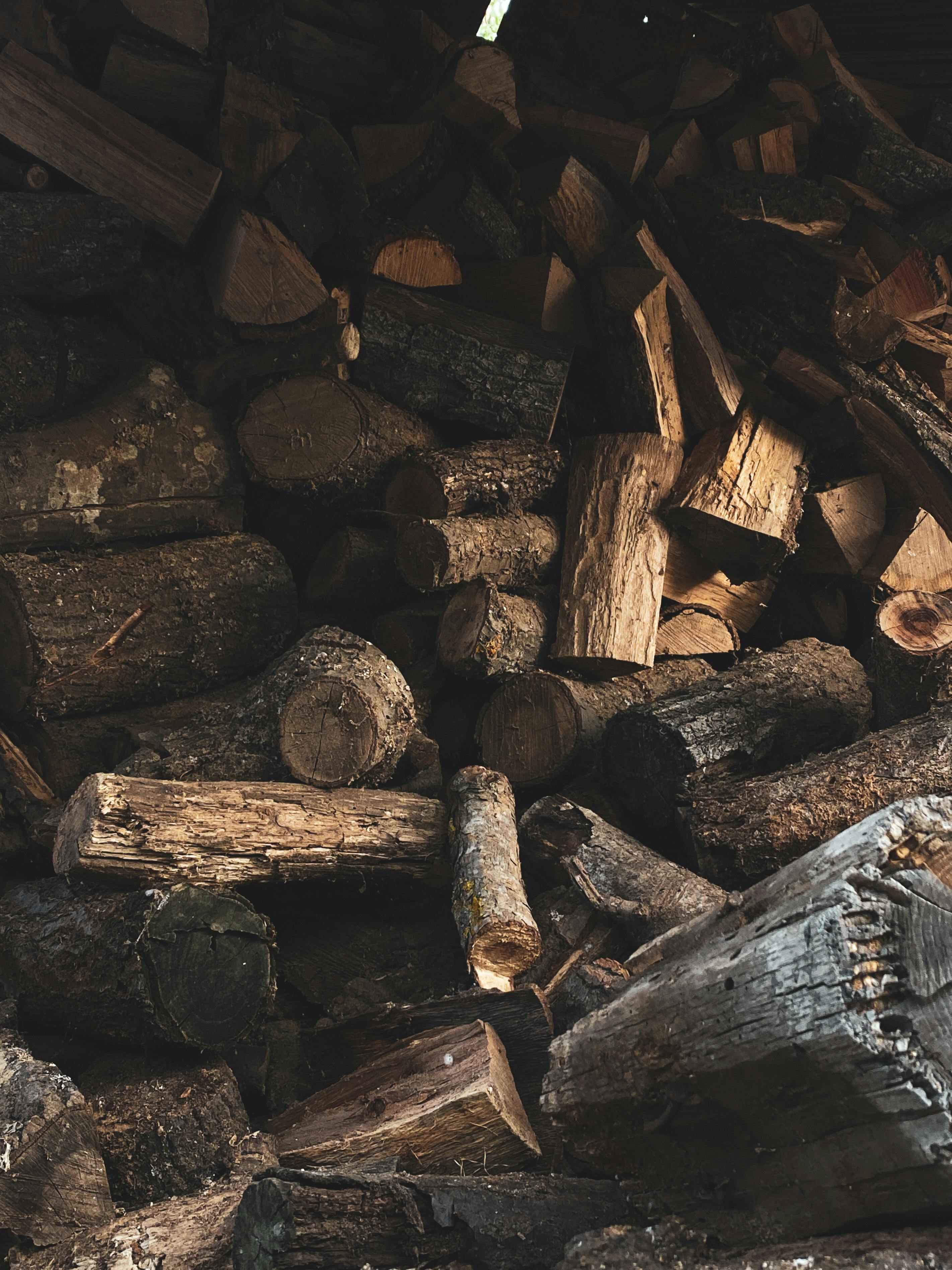 Photo of Chopped Woods · Free Stock Photo