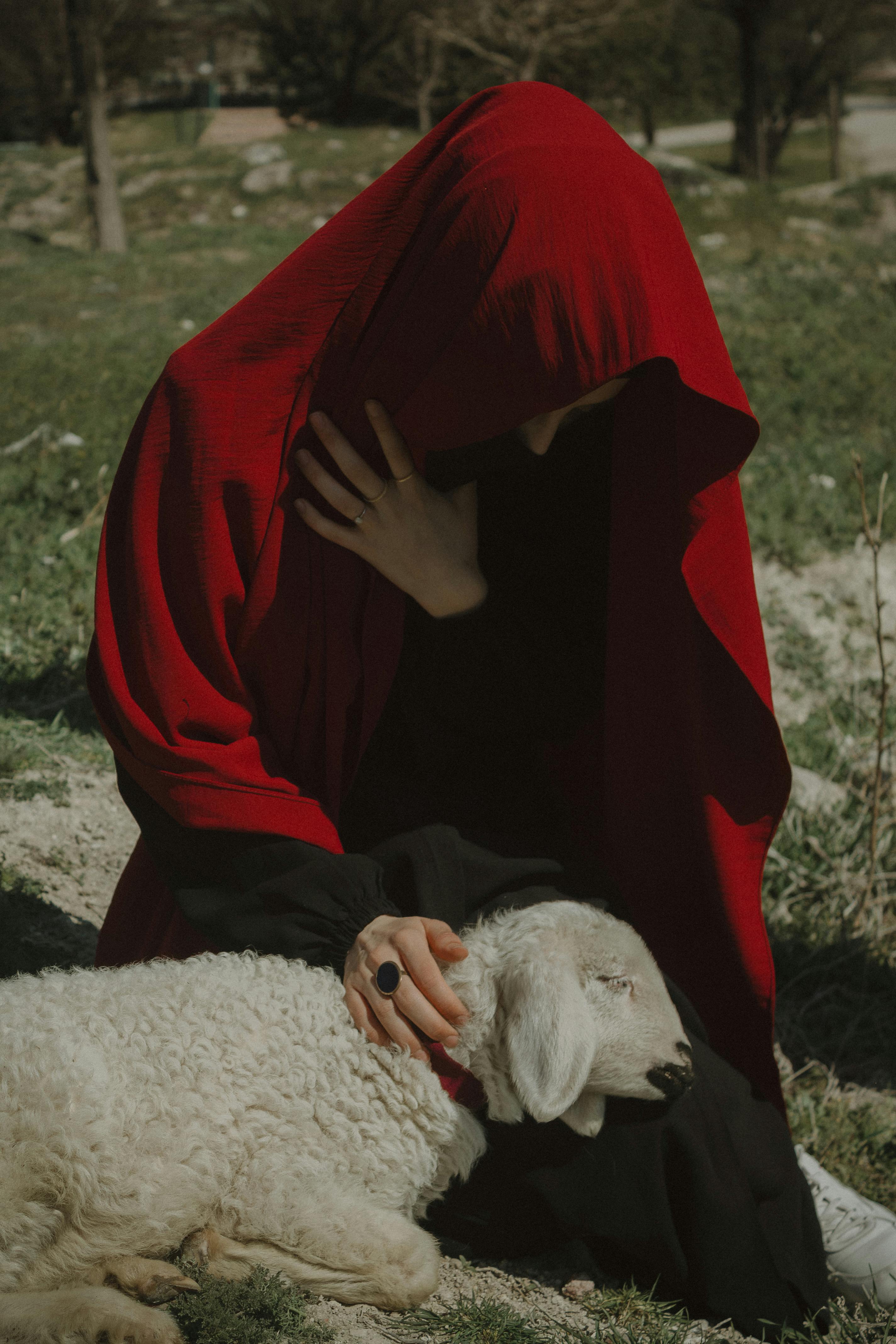Woman Petting a Lamb on a Field · Free Stock Photo