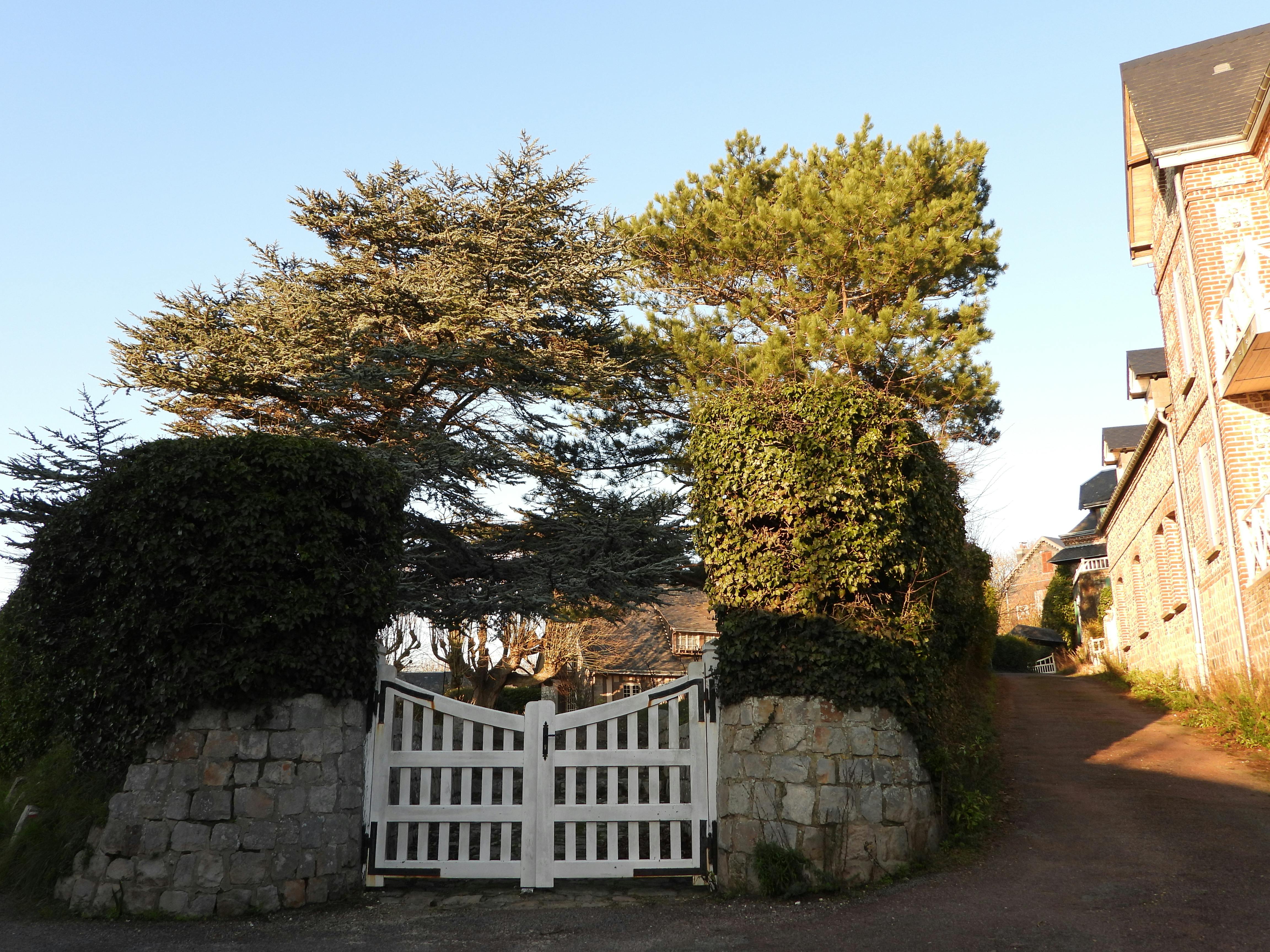 Ninja Gate Photos, Download The BEST Free Ninja Gate Stock Photos & HD ...